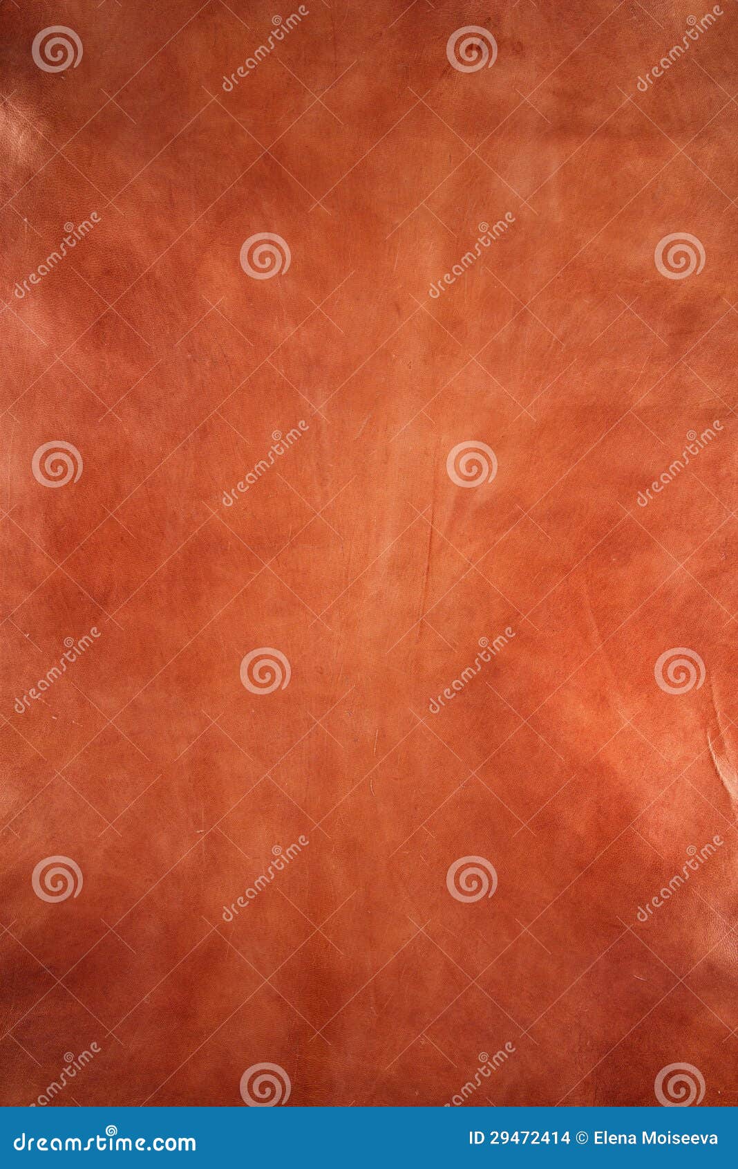 Rawhide Leather Background Stock Photo Image Stock Photo - Image of ...