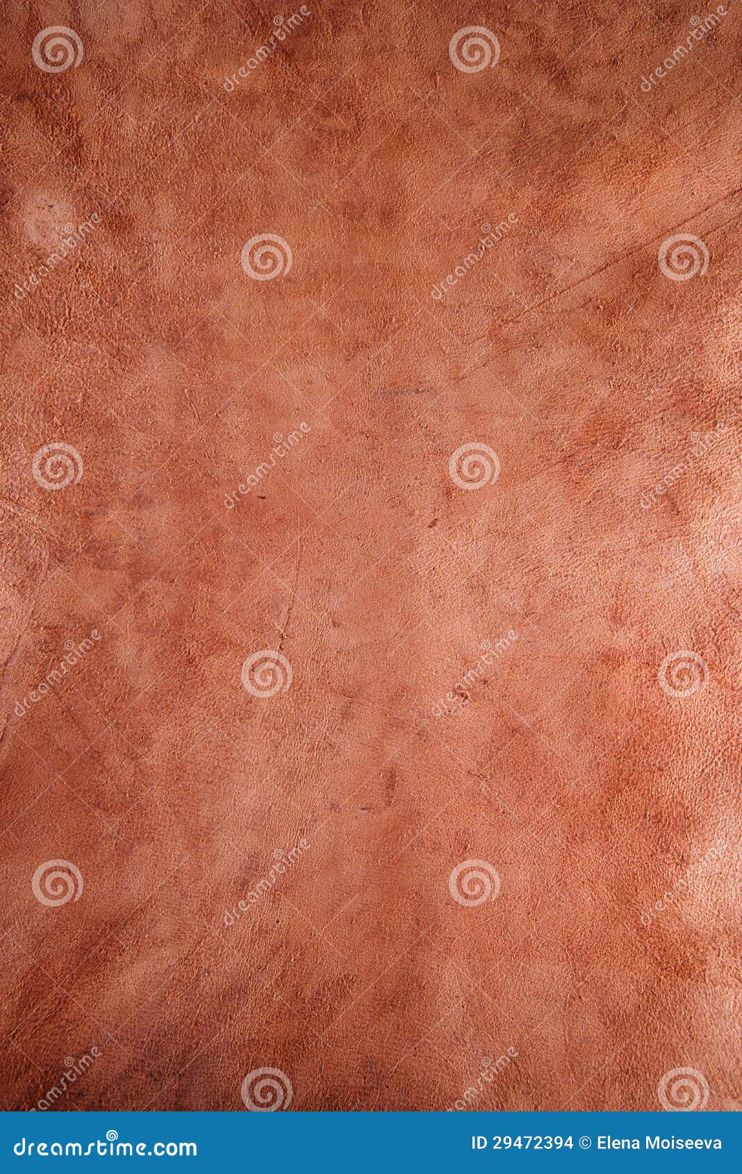 Rawhide Leather Reverse Side Background Stock Photo Image Stock Photo ...