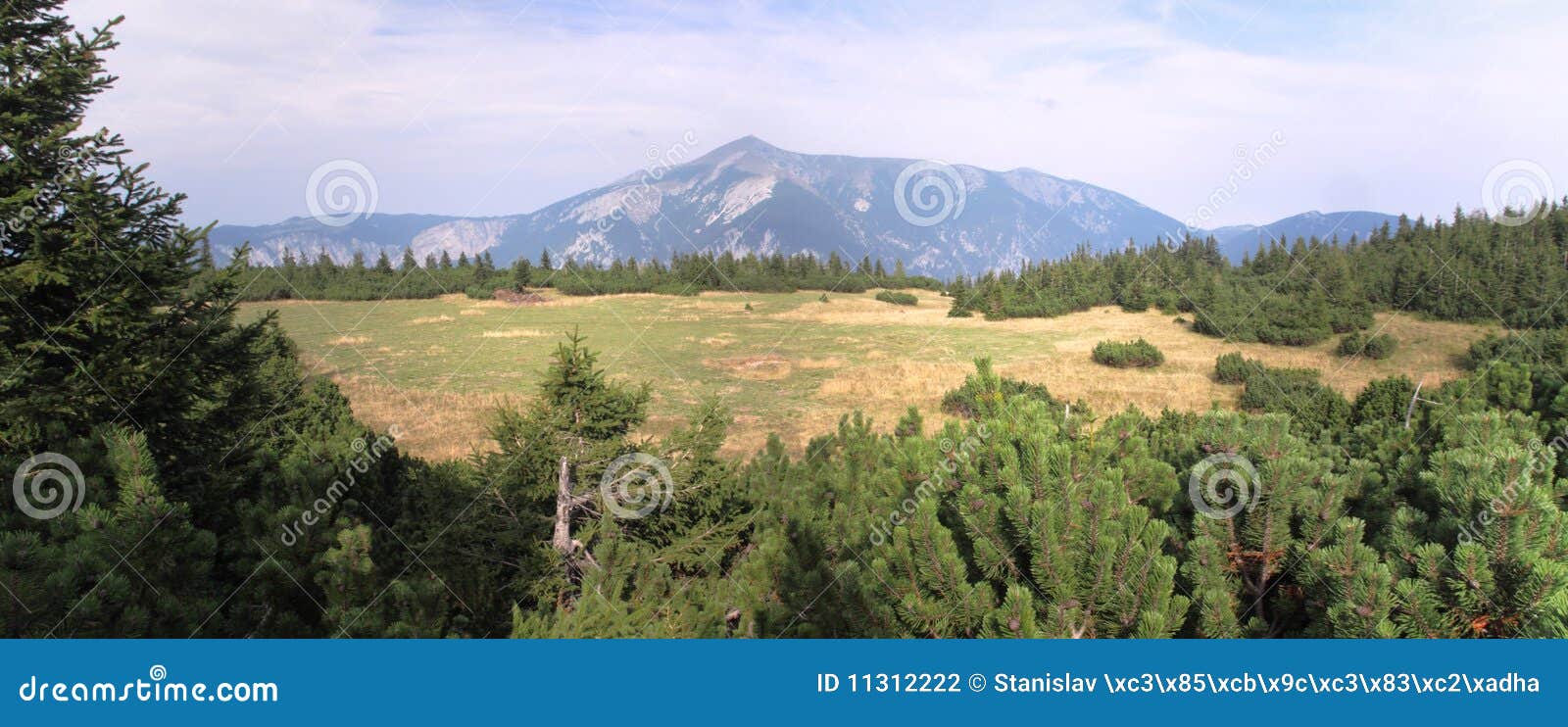 Rax Alps mountain meadow. stock photo. Image of tree - 11312222