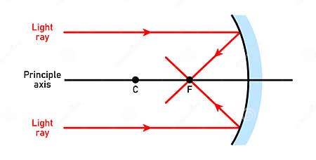 Ray Diagrams for Concave Mirror Vector Illustration Stock Vector ...