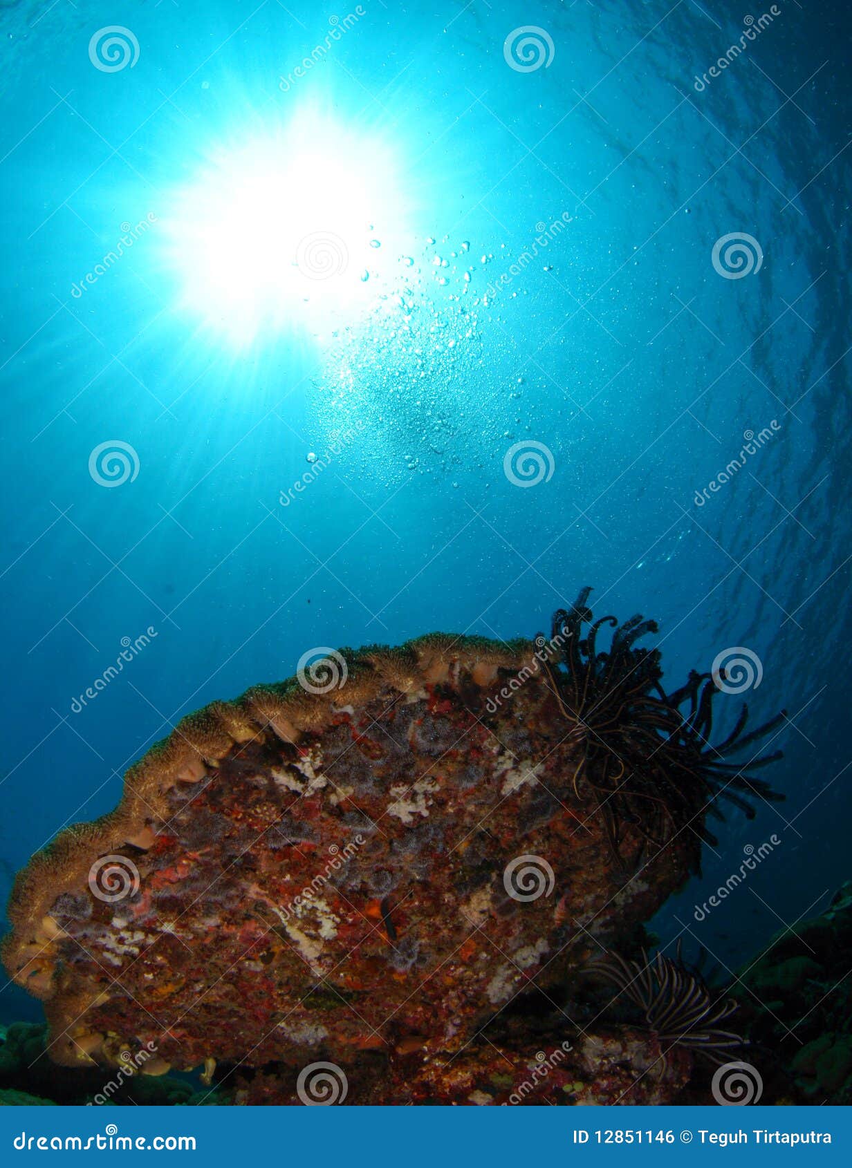 Ray of light stock photo. Image of underwater, sunshine - 12851146