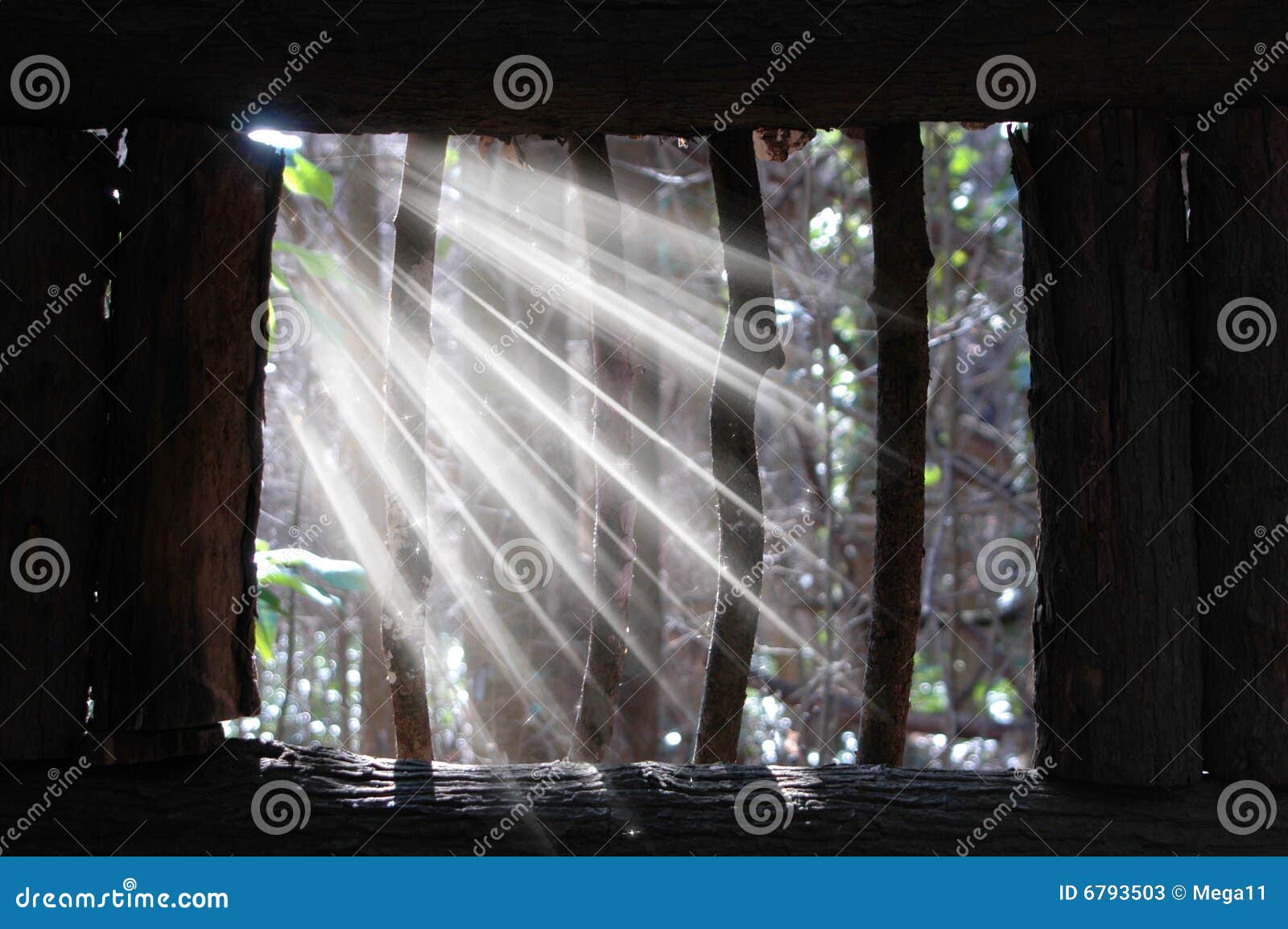 Ray of light stock image. Image of misty, beauty, leaves - 6793503