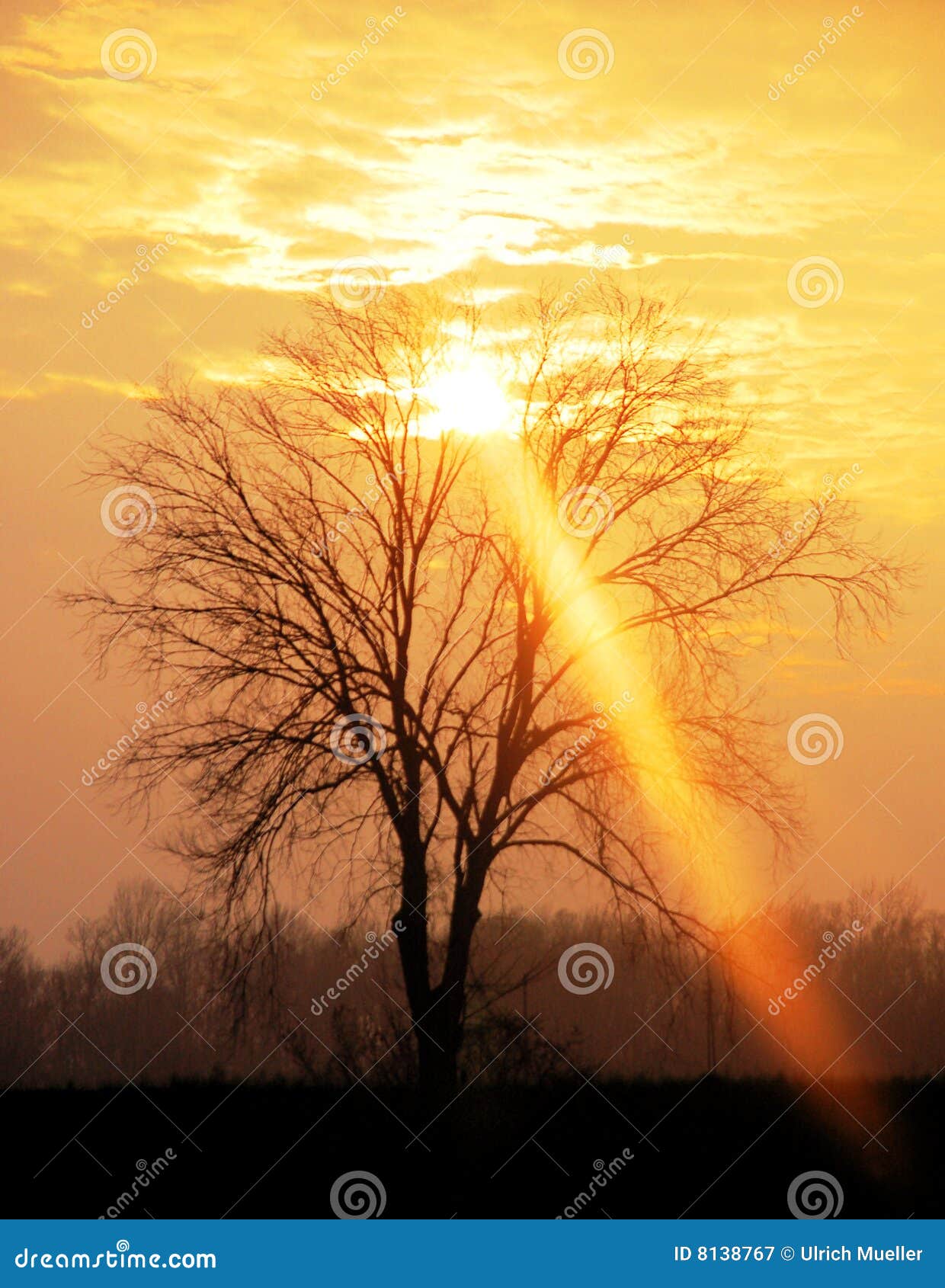 Ray of light stock image. Image of sunlight, beam, natural - 8138767