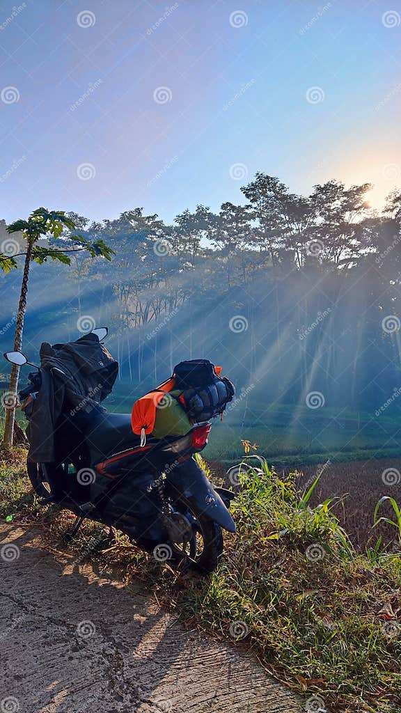 The Ray of Light in the Rice Fields Area at Kebumen Regency, Central ...