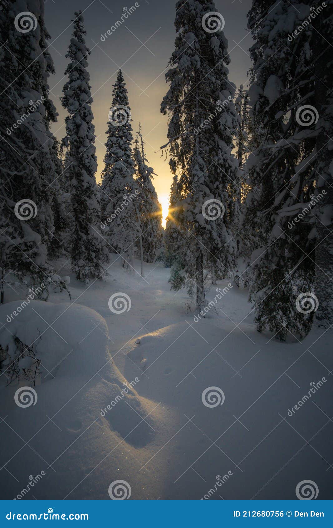 A Ray of Sunshine through the Forest Stock Photo - Image of screenshot ...