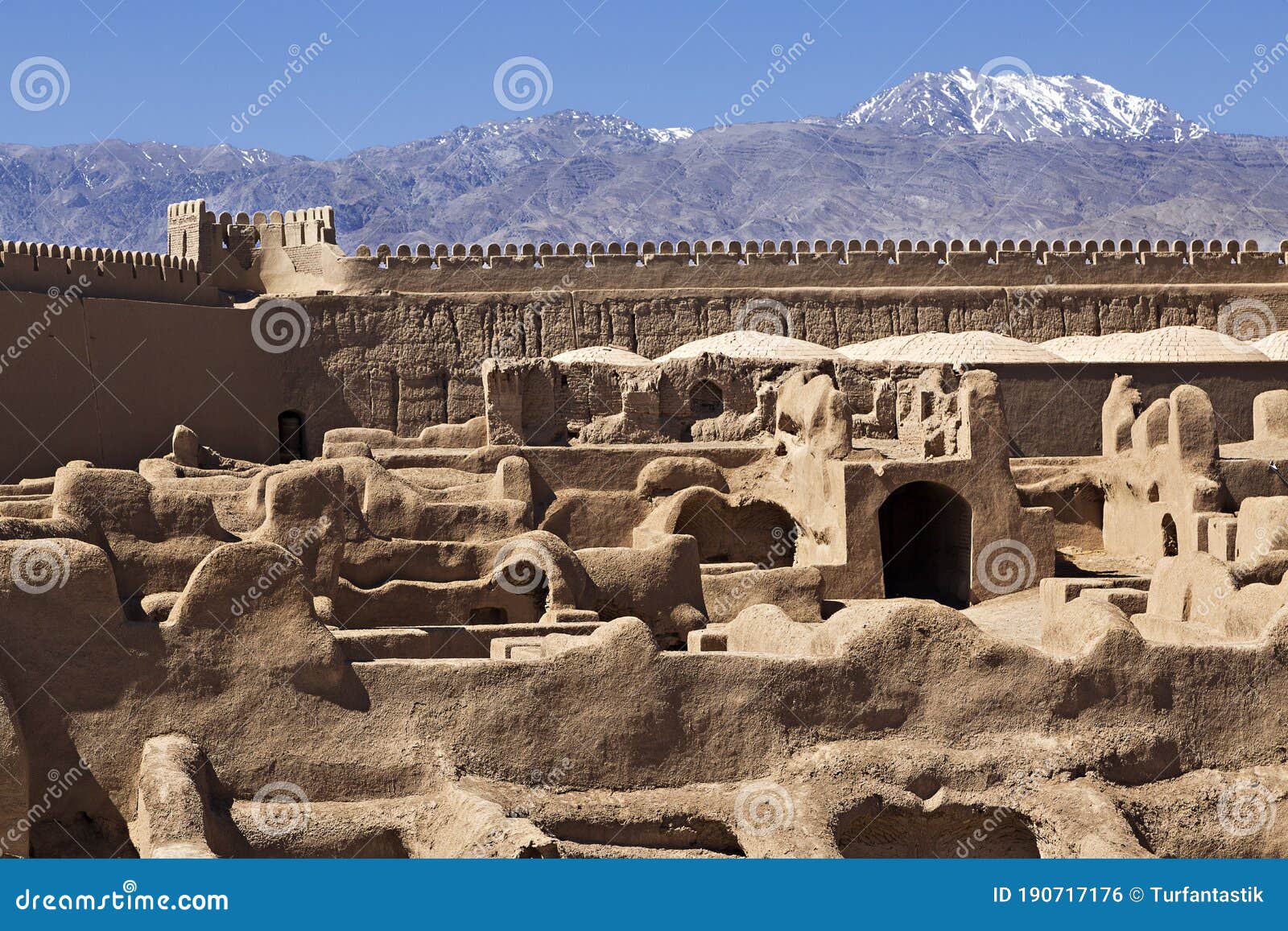 Rayen Stock Image | CartoonDealer.com #54602305