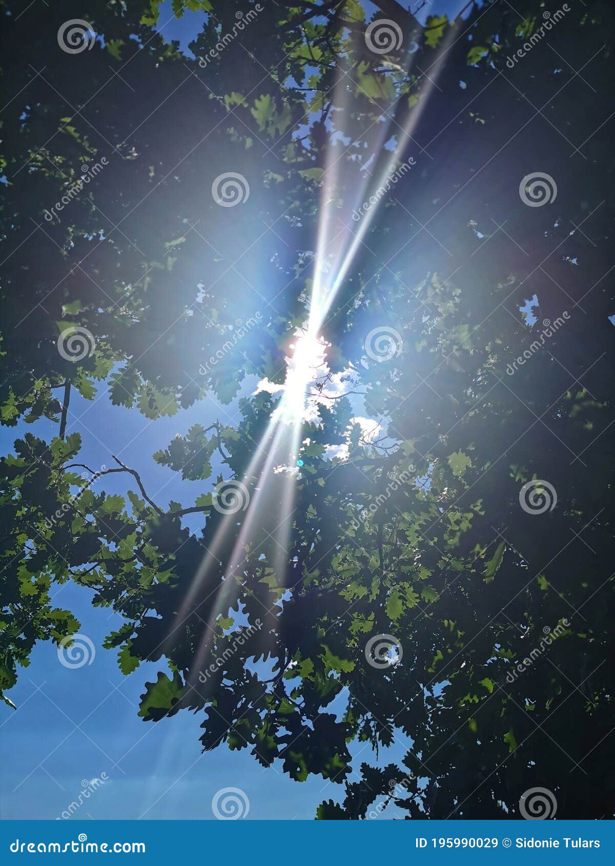 Rayo de luz imagen de archivo. Imagen de azul, cielo - 195990029