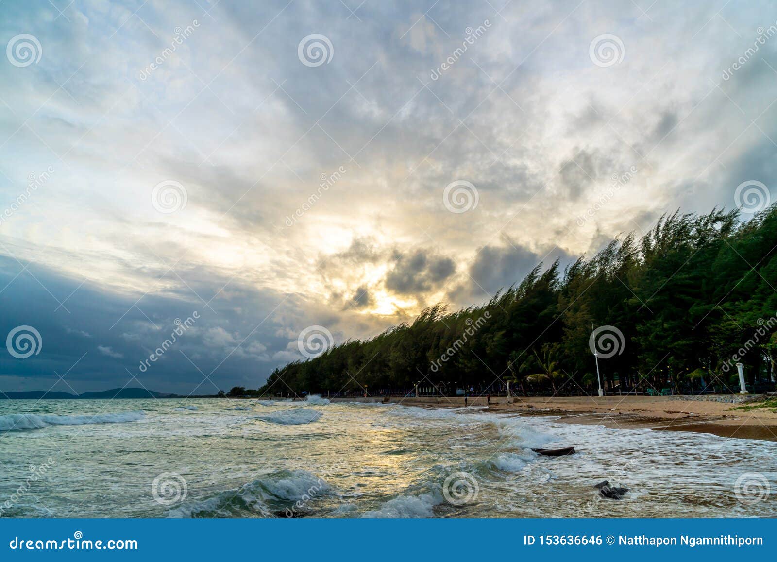 Rayong beach in thailand stock photo. Image of tree - 153636646