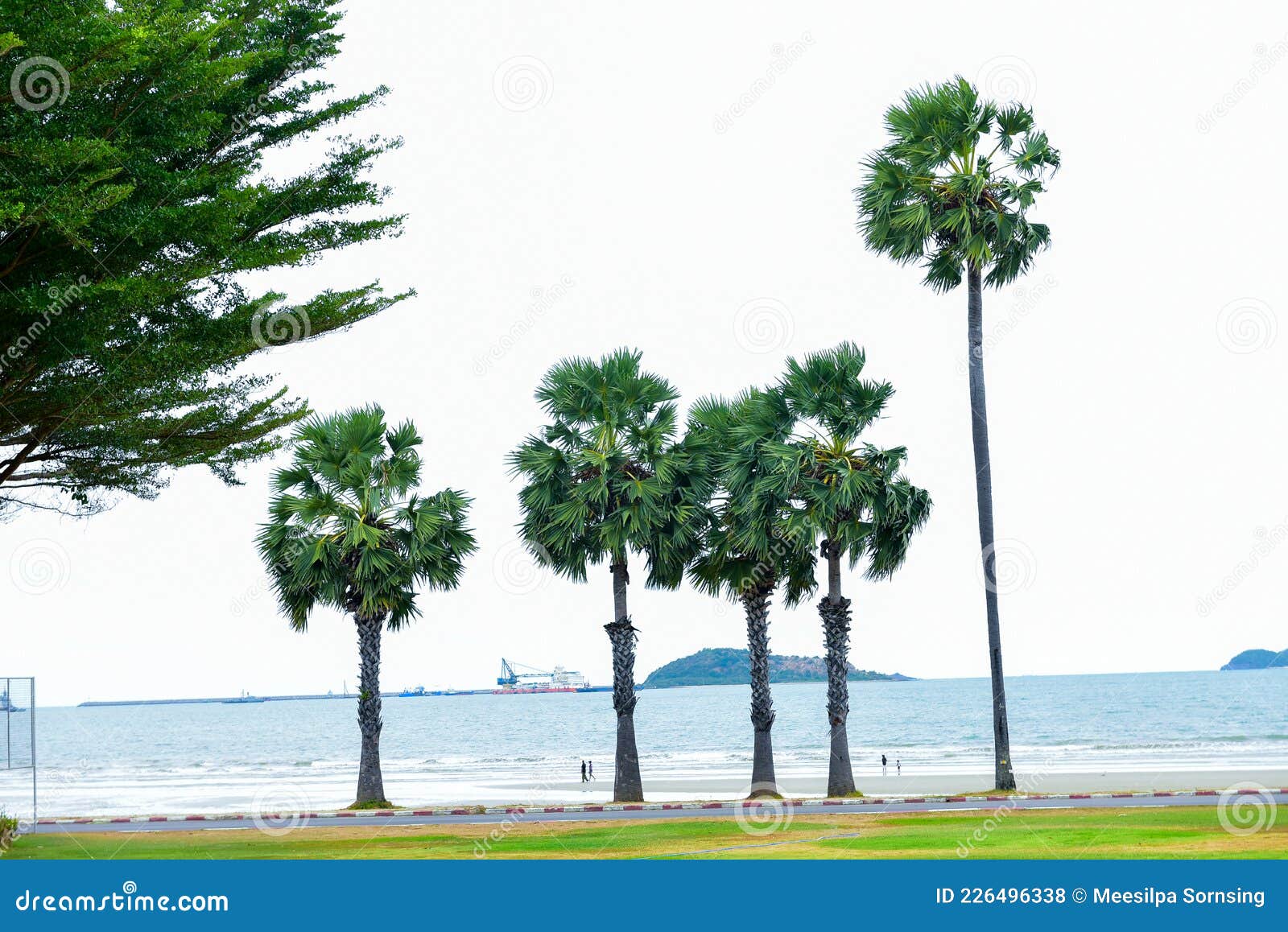 Rayong Thailand August 02 2019 Sand on the Rayong Beach and Blue Sky ...