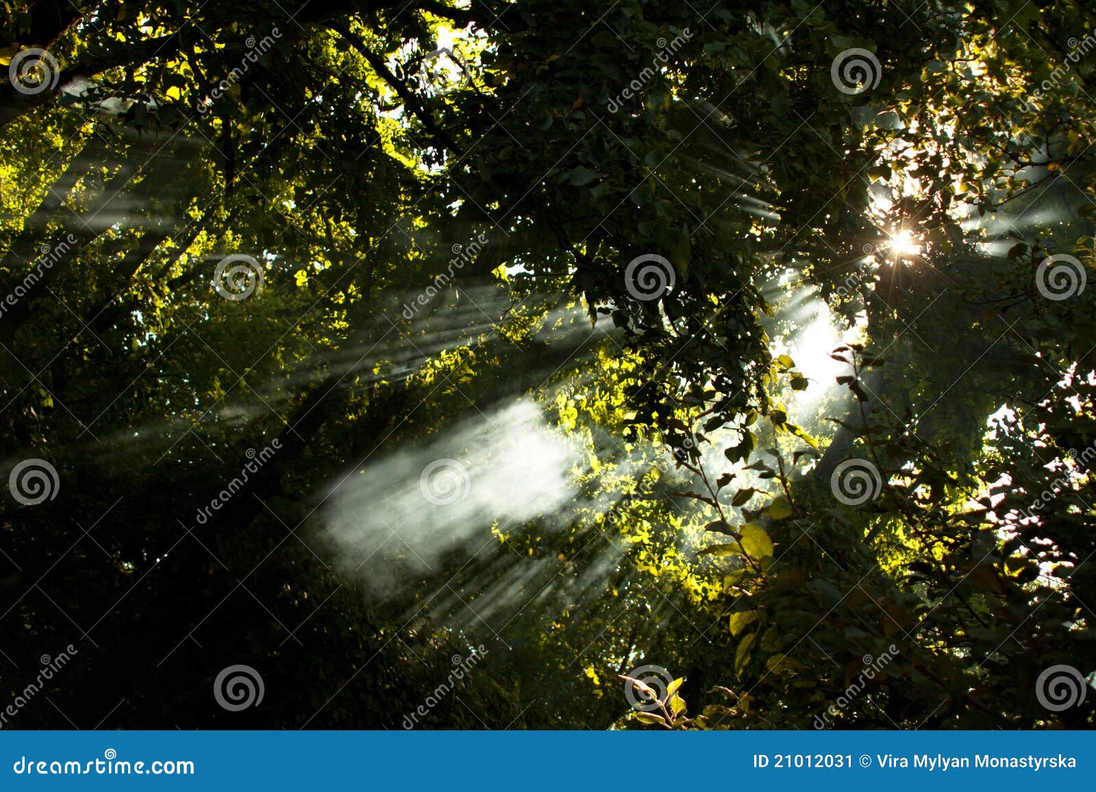 Rayos De Sun En Madera Oscura Imagen de archivo - Imagen de cubo, rayo ...