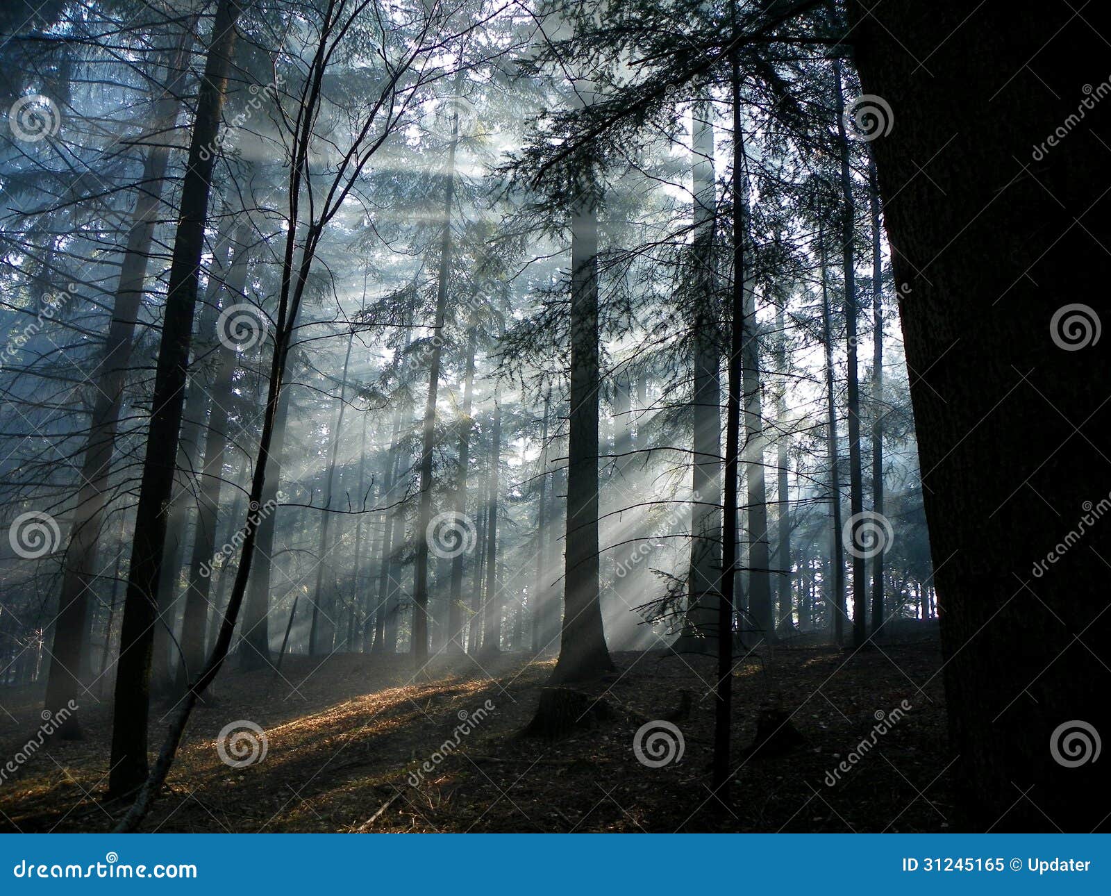 Rayos del sol II imagen de archivo. Imagen de impresionante - 31245165
