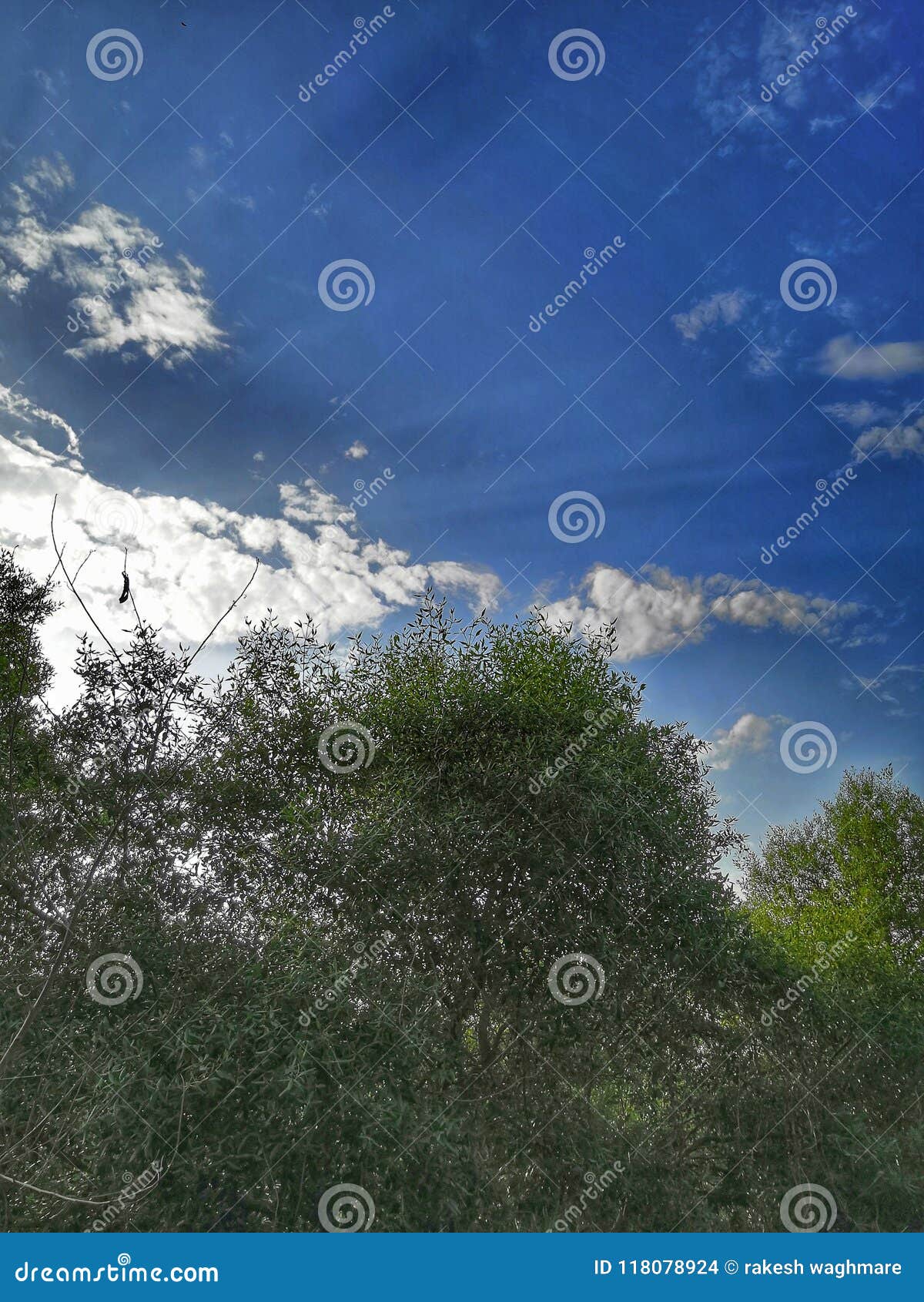 Rayos solares foto de archivo. Imagen de rayos, cielo - 118078924