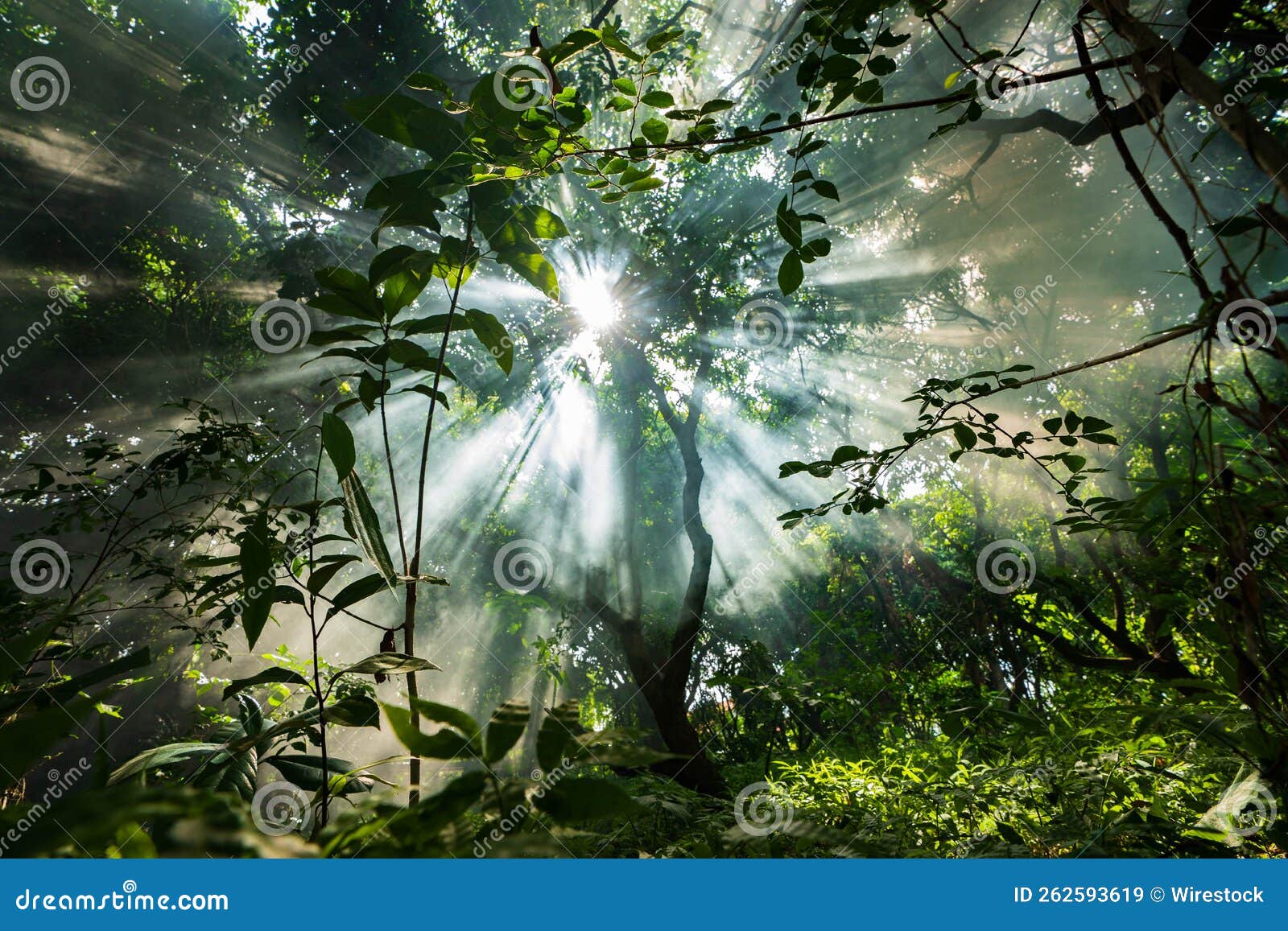 Sun Rays Falling Onto A Temple Royalty-Free Stock Image | CartoonDealer ...