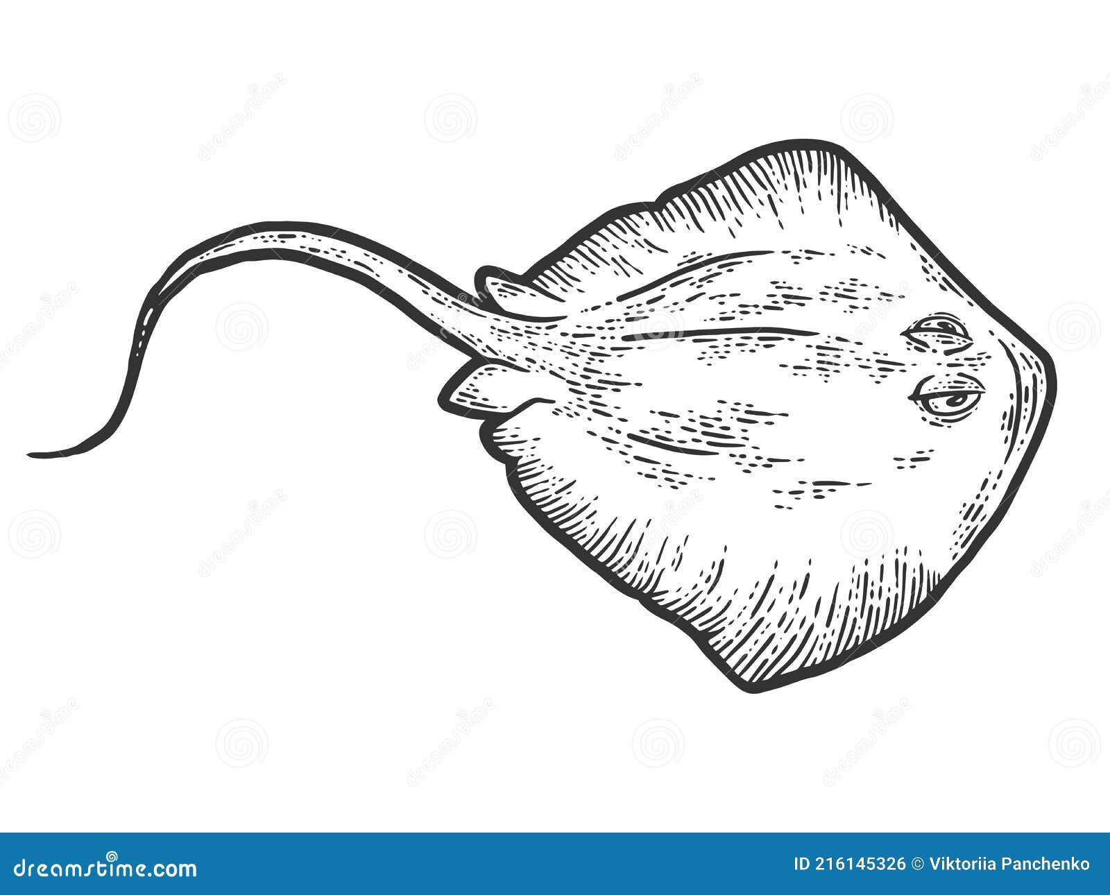 Rays Fish. Sketch Scratch Board Imitation. Black and White Stock ...