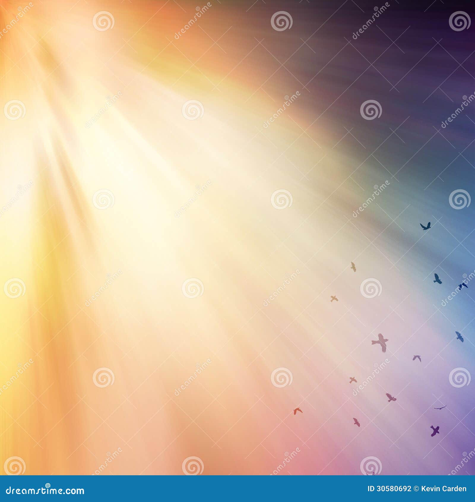 Rays of light. stock photo. Image of beam, bird, light - 30580692