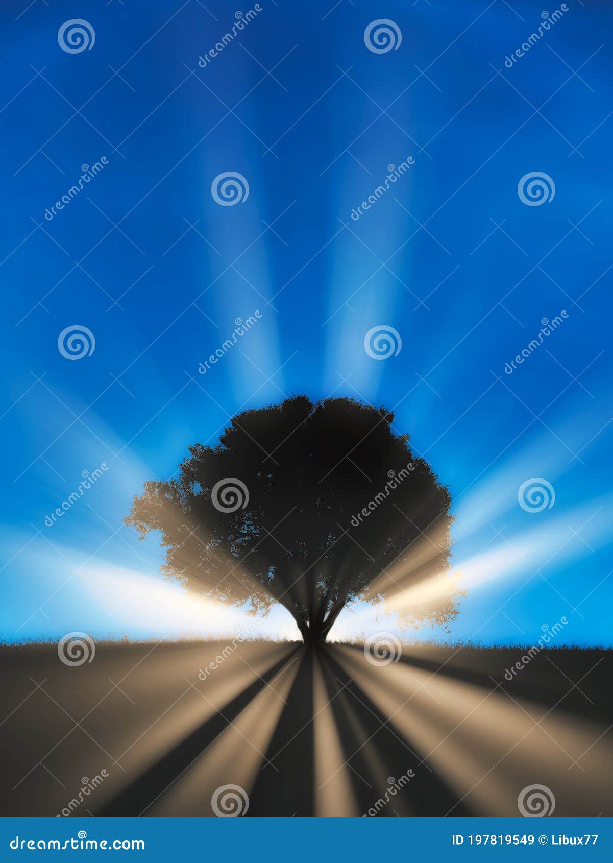 Rays Of Light Coming Behind Silhouette Of Solitary Tree Royalty-Free ...