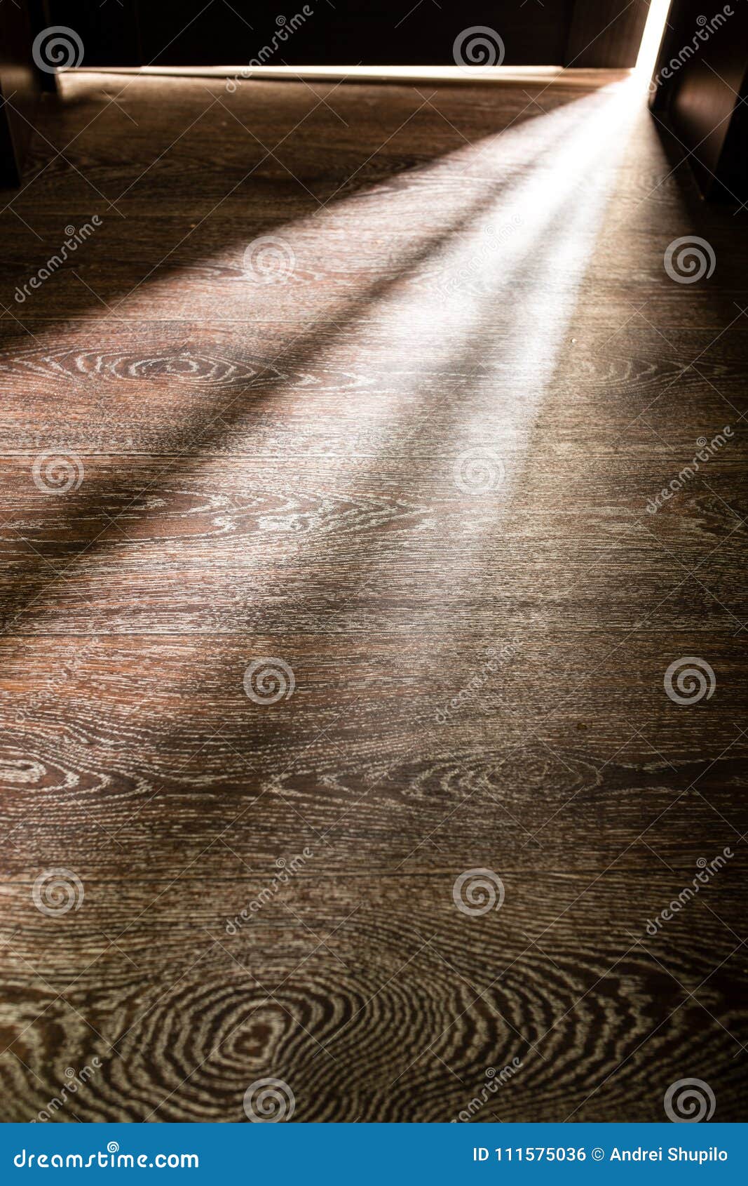 Rays of Light from the Door in a Dark Room Stock Photo - Image of ...