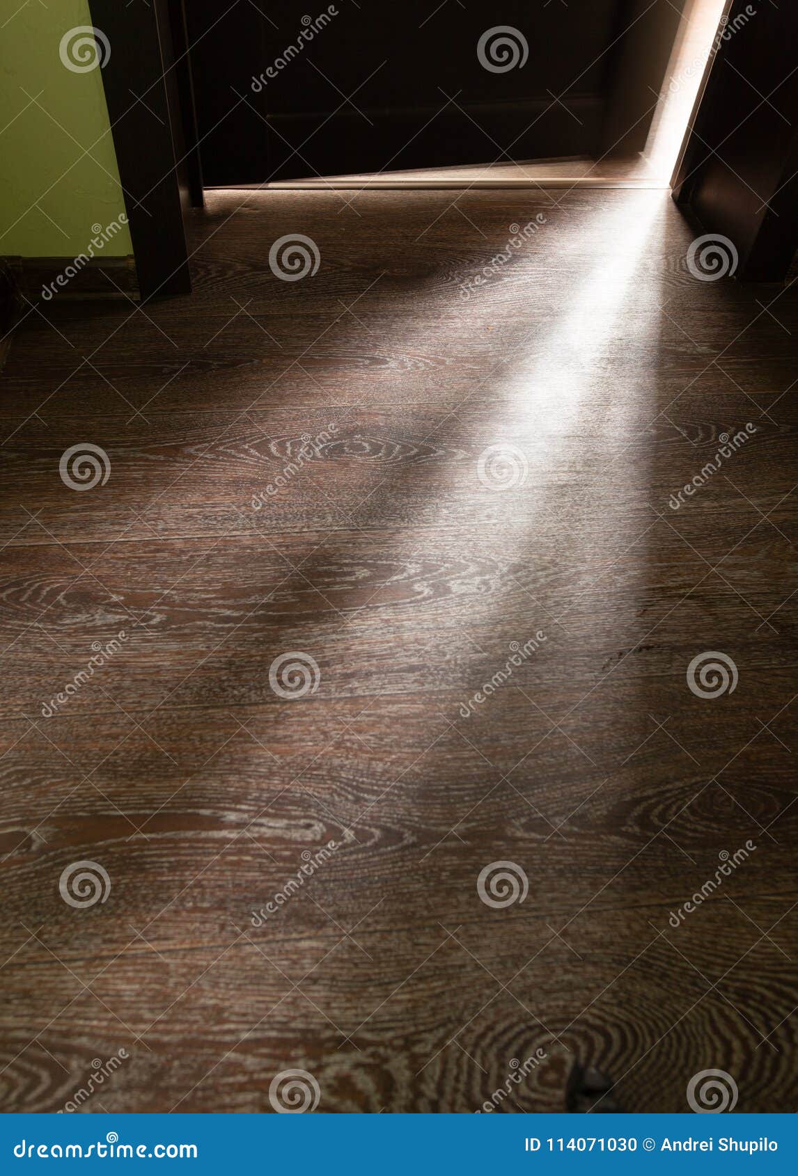 Rays of Light from the Door in a Dark Room Stock Photo - Image of dark ...