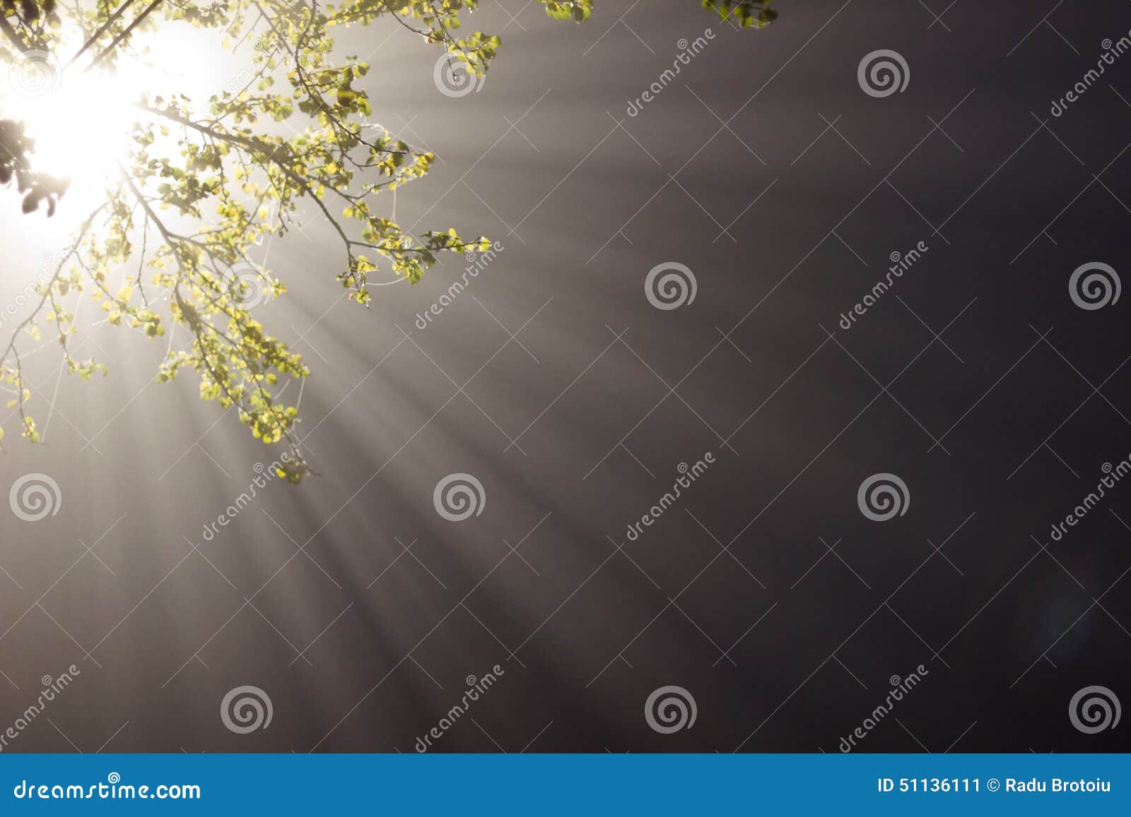 Rays of light in fog stock image. Image of background - 51136111
