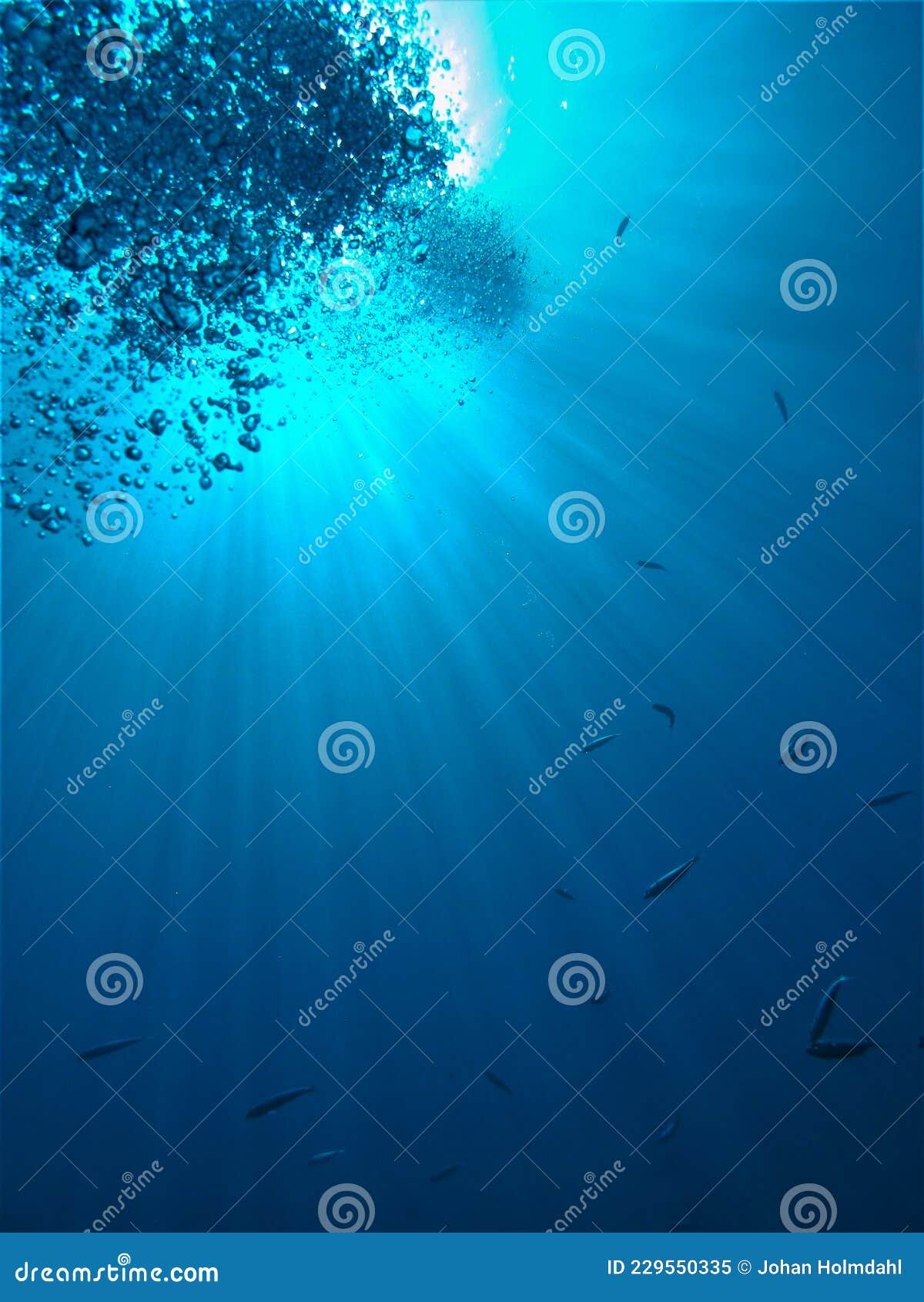 Rays of Light in Ocean Underwater Stock Image - Image of galaxy ...