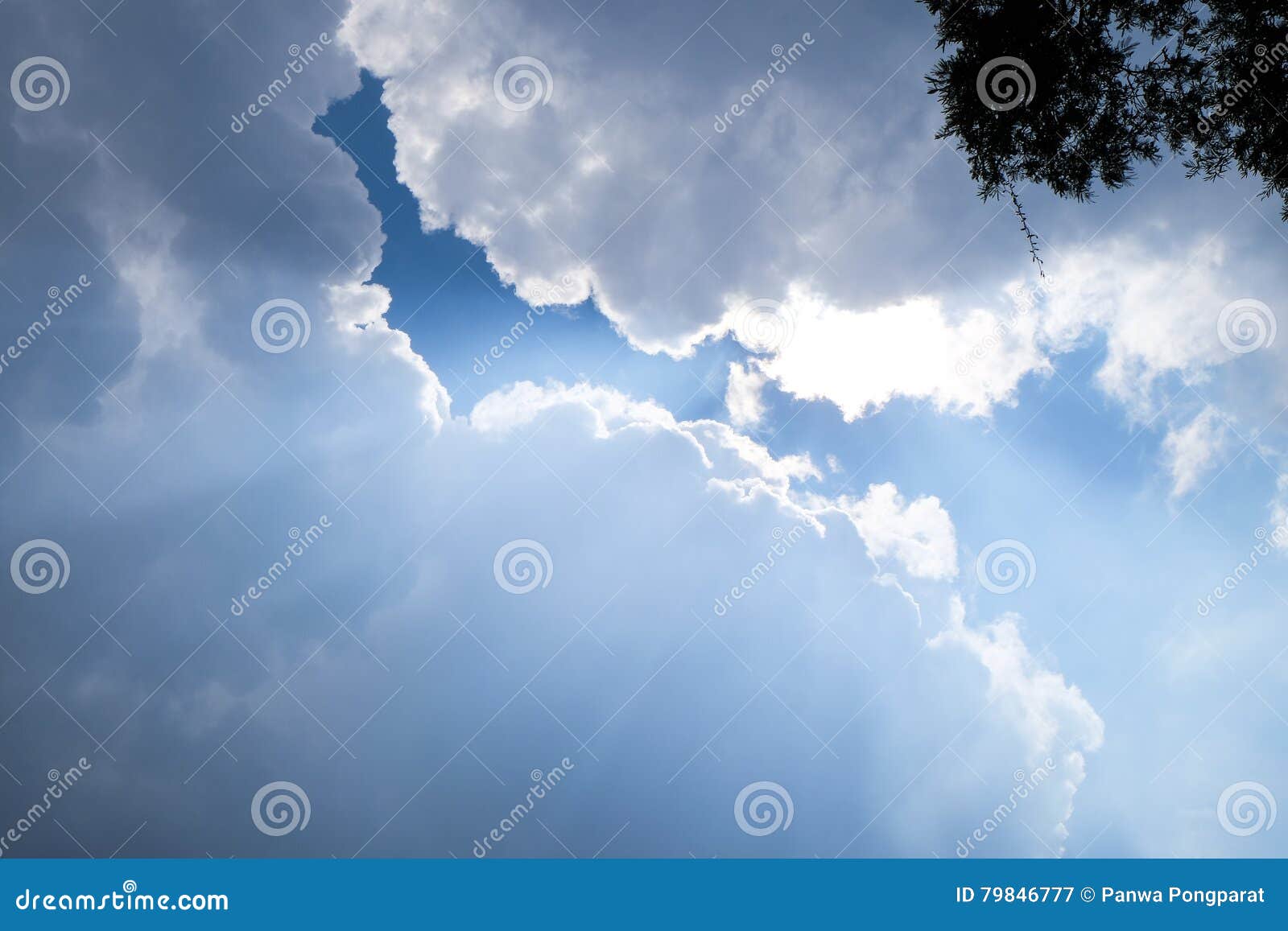 Rays of light shining down stock image. Image of environment - 79846777