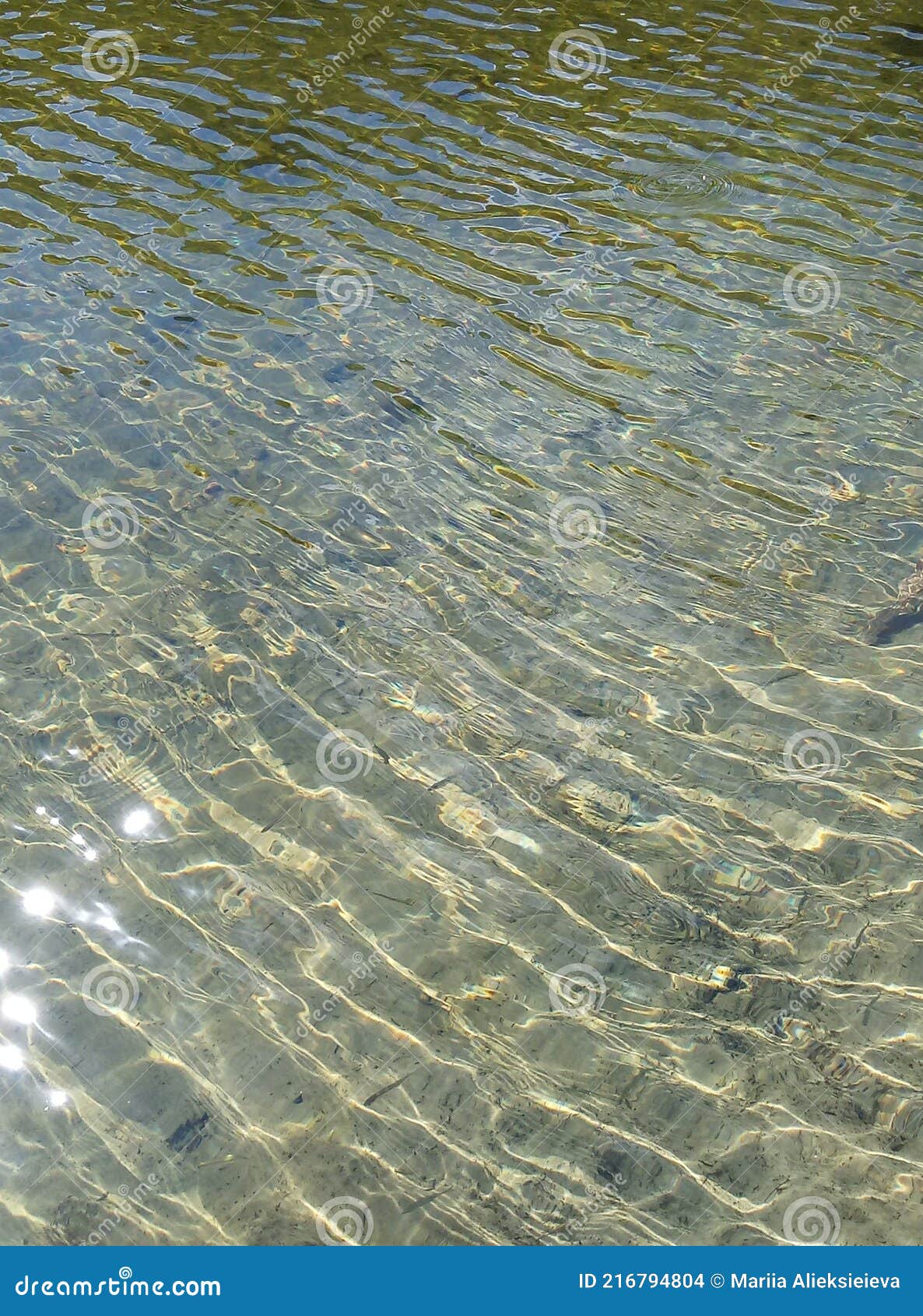 Rays of Light on the Surface of Clear River Water Stock Photo - Image ...