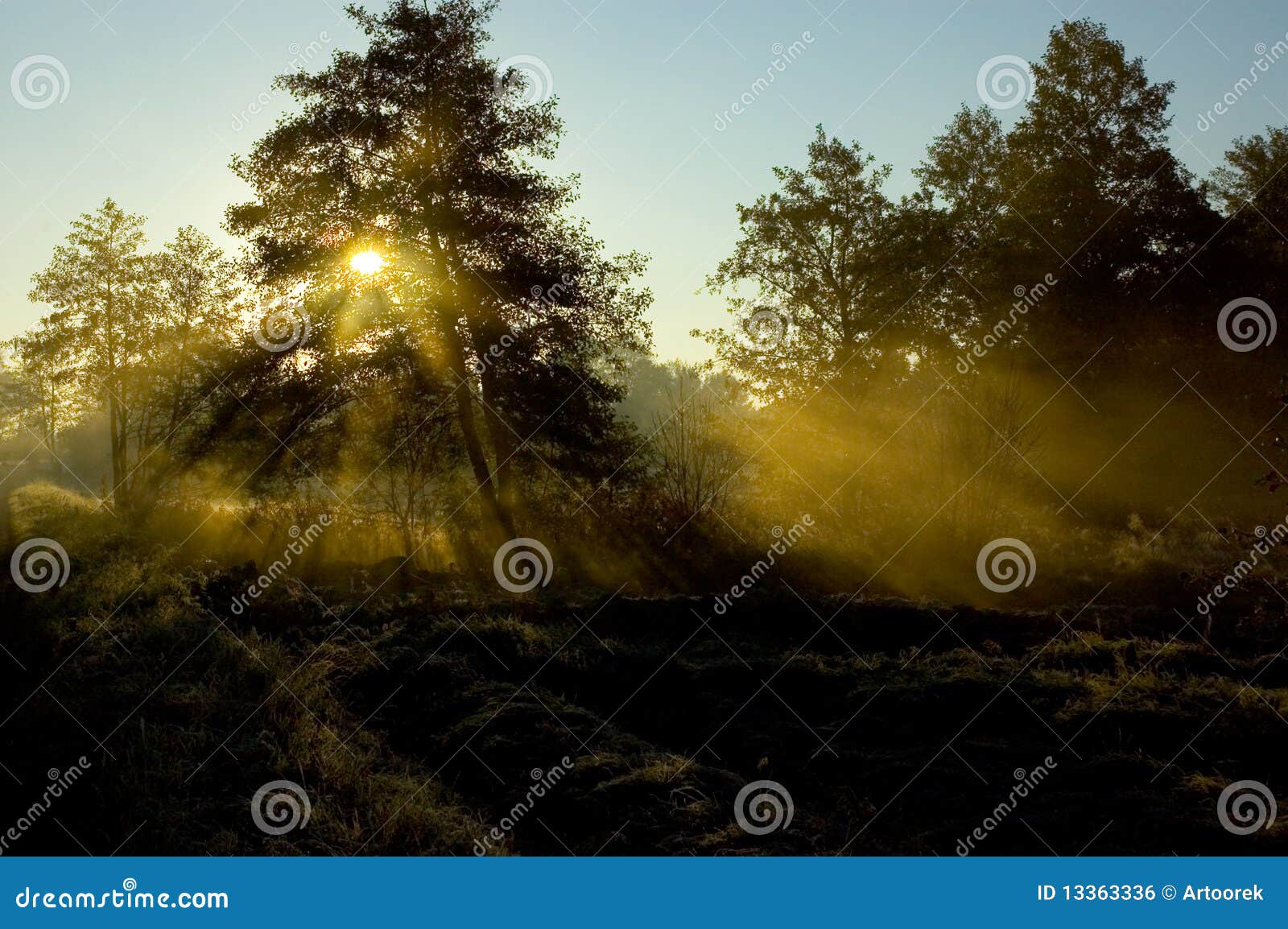 Rays of the morning stock photo. Image of misty, effect - 13363336