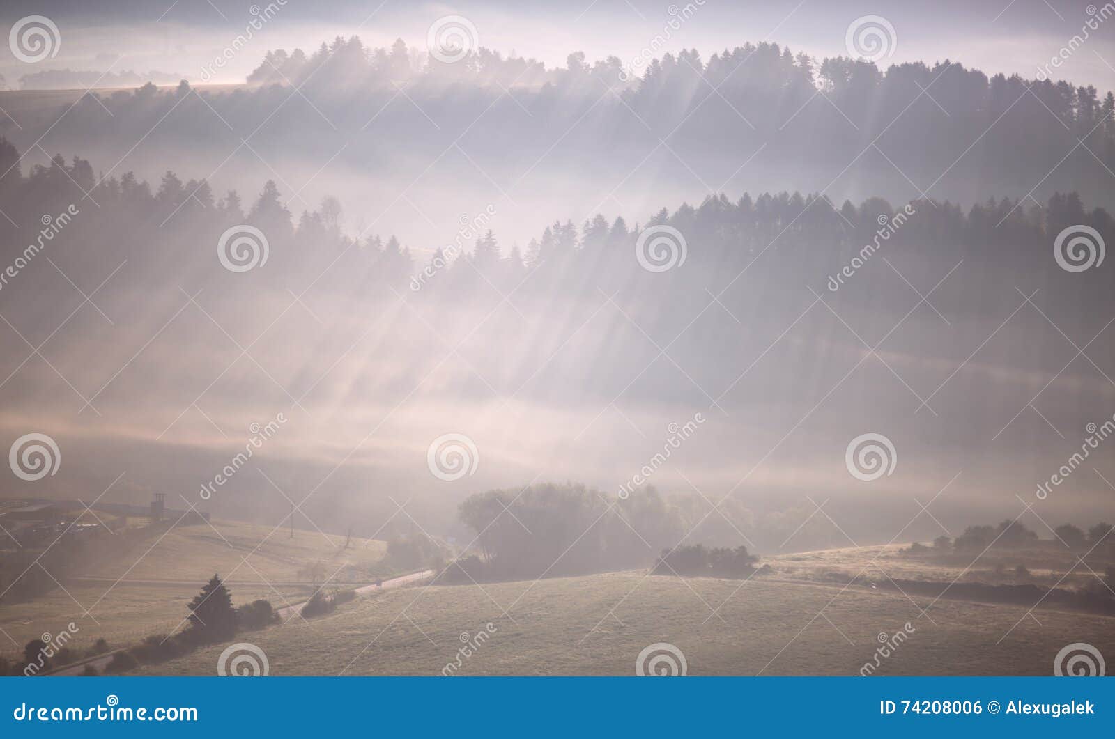 Rays shines through fog stock photo. Image of sunrise - 74208006