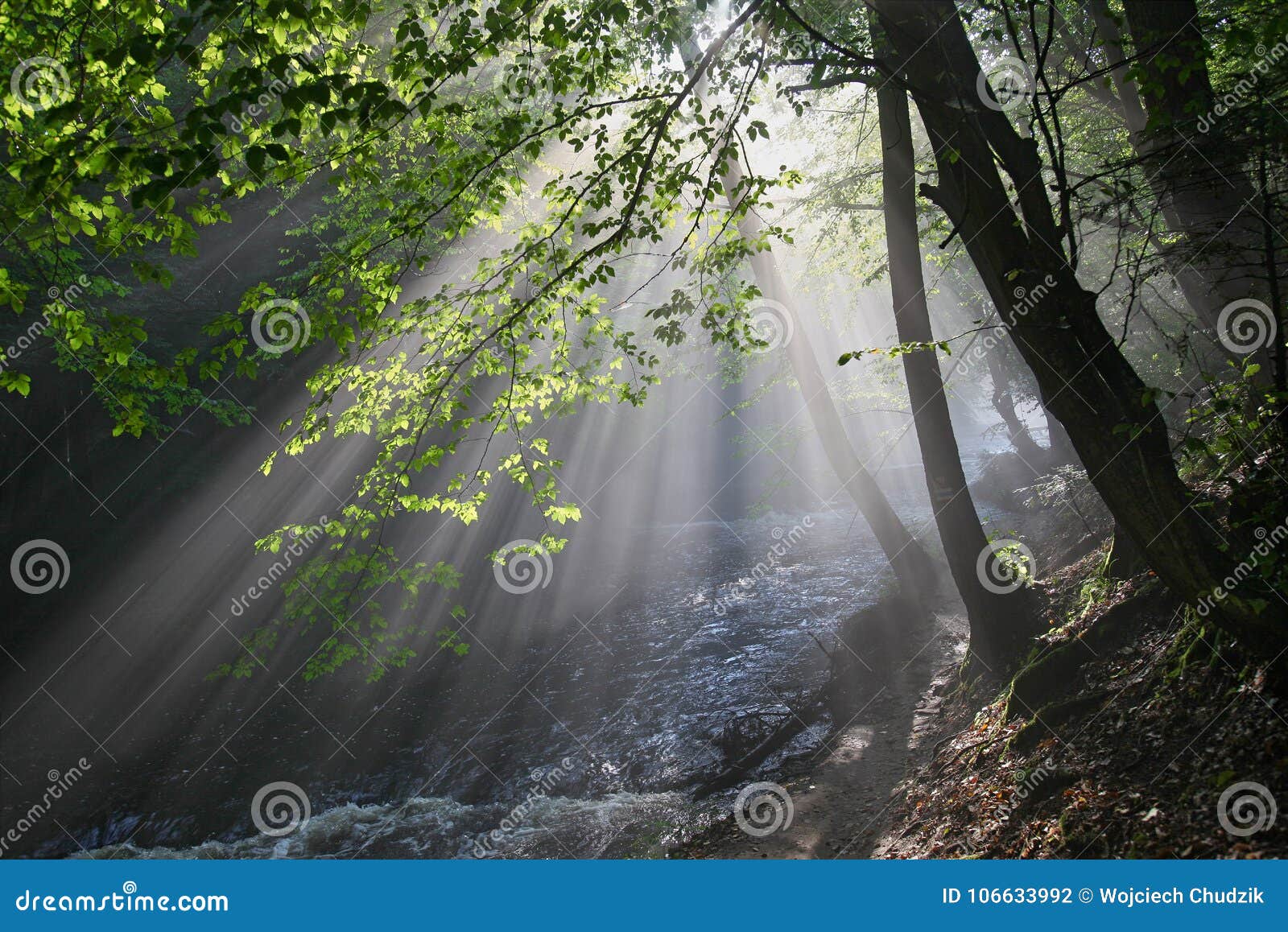 River Valley in the Morning. Stock Photo - Image of beautiful, exposure ...