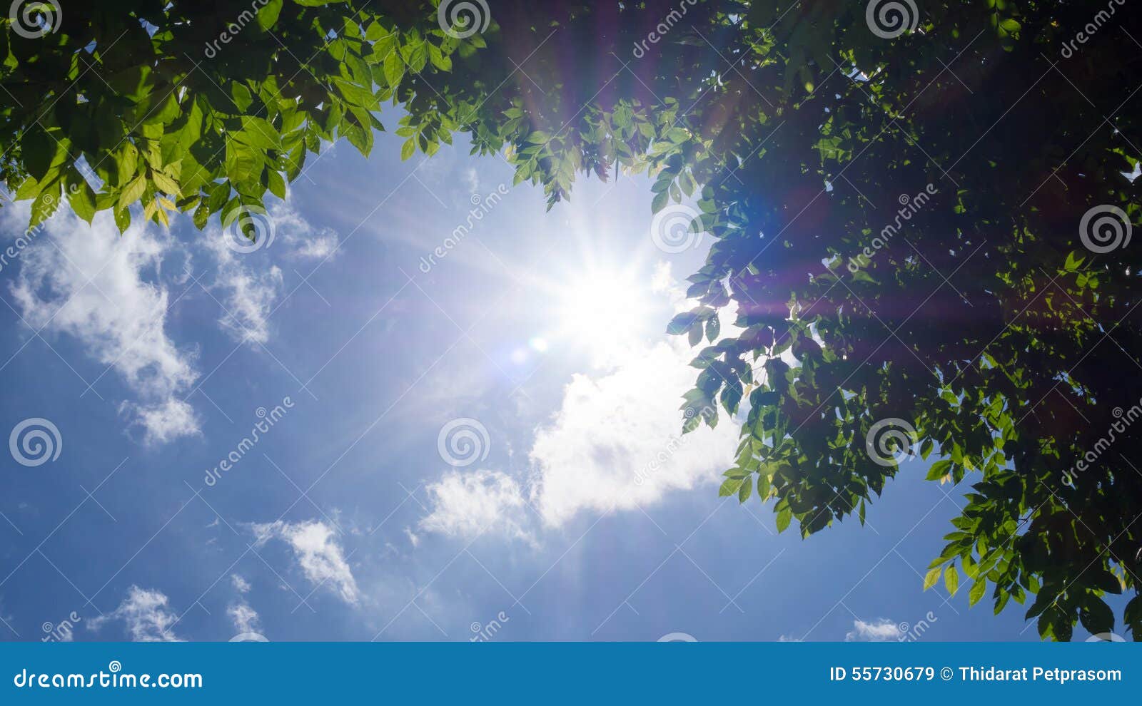 266,588 Sun Tree Clouds Stock Photos - Free & Royalty-Free Stock Photos ...