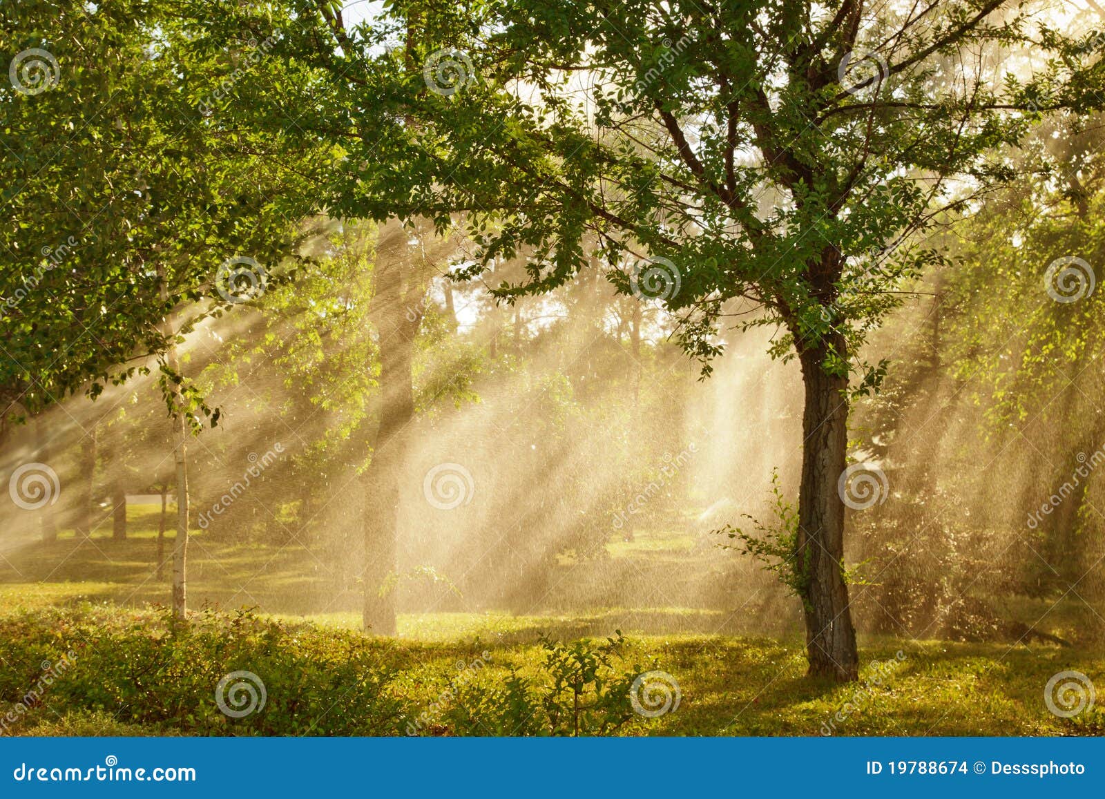 Rays of sunlight stock photo. Image of spectacle, drama - 19788674