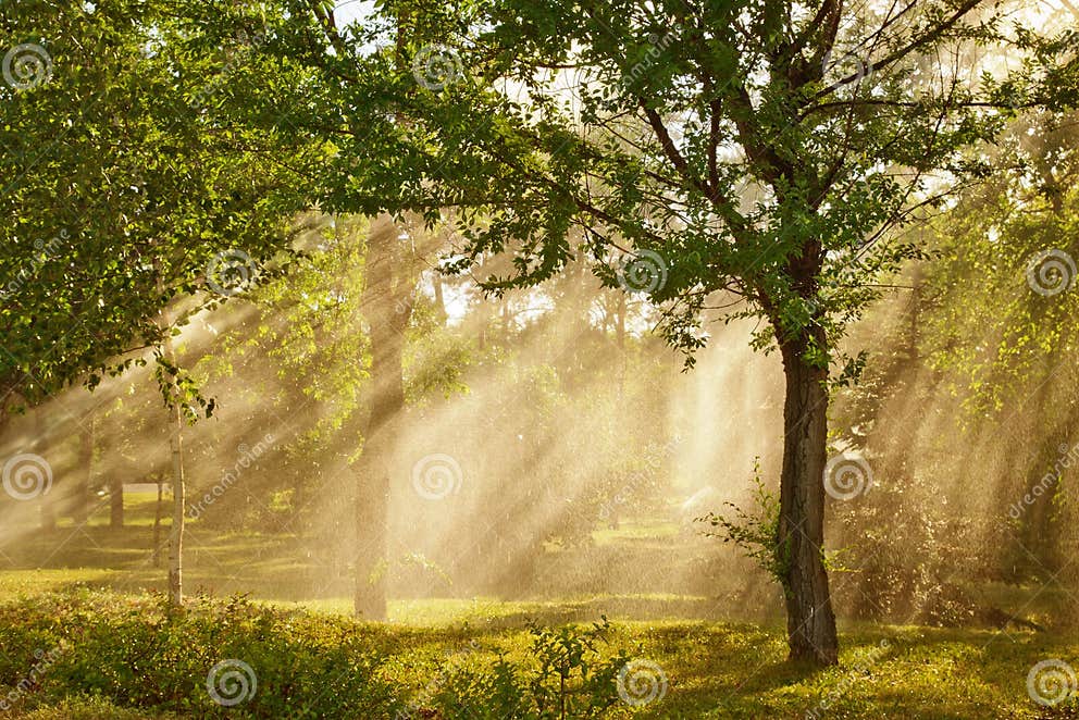Rays of sunlight stock photo. Image of spectacle, drama - 19788674