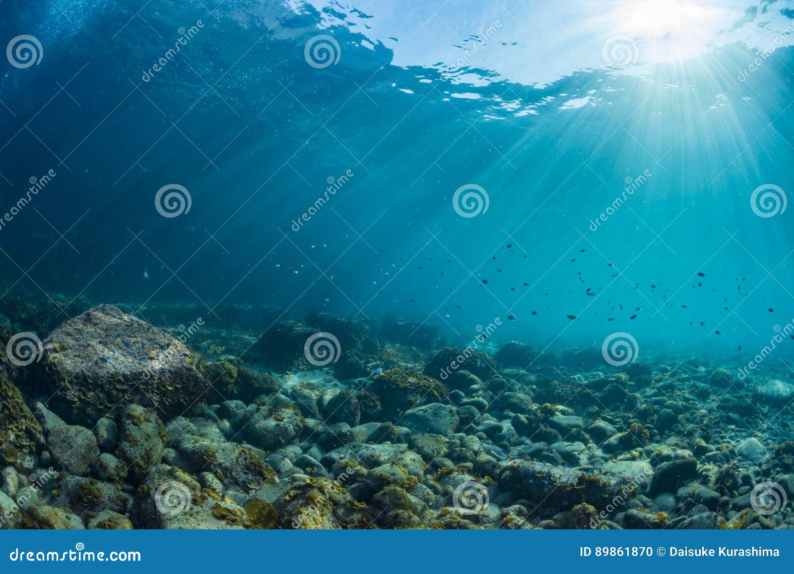 Rays of Sunlight Shining into Sea, Underwater View Stock Photo - Image ...