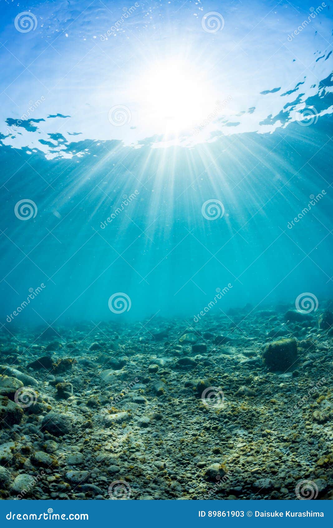 Rays Of Sunlight Shining Into Sea Bottom,Half Water, Half Underwater ...