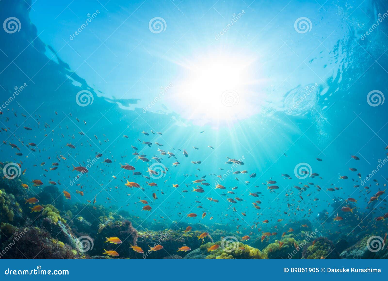 Rays of Sunlight Shining into Sea, Underwater View Stock Image - Image ...