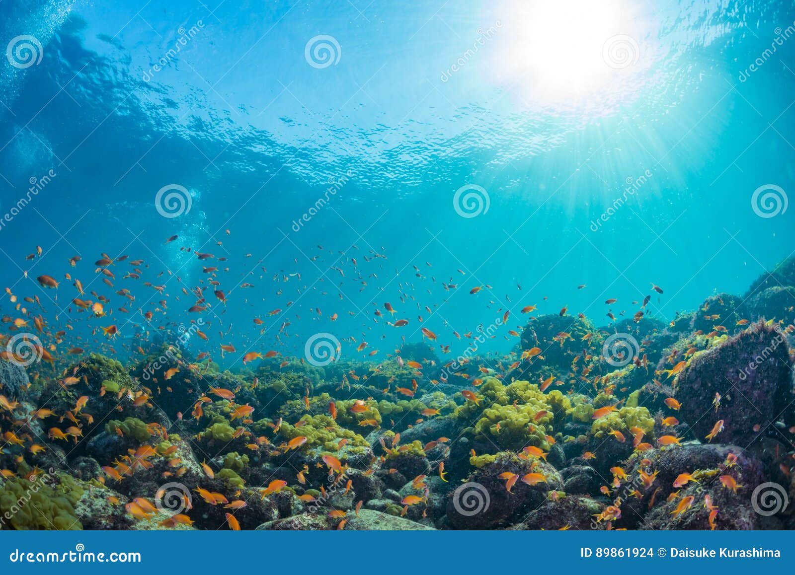 Rays of Sunlight Shining into Sea, Underwater View Stock Photo - Image ...