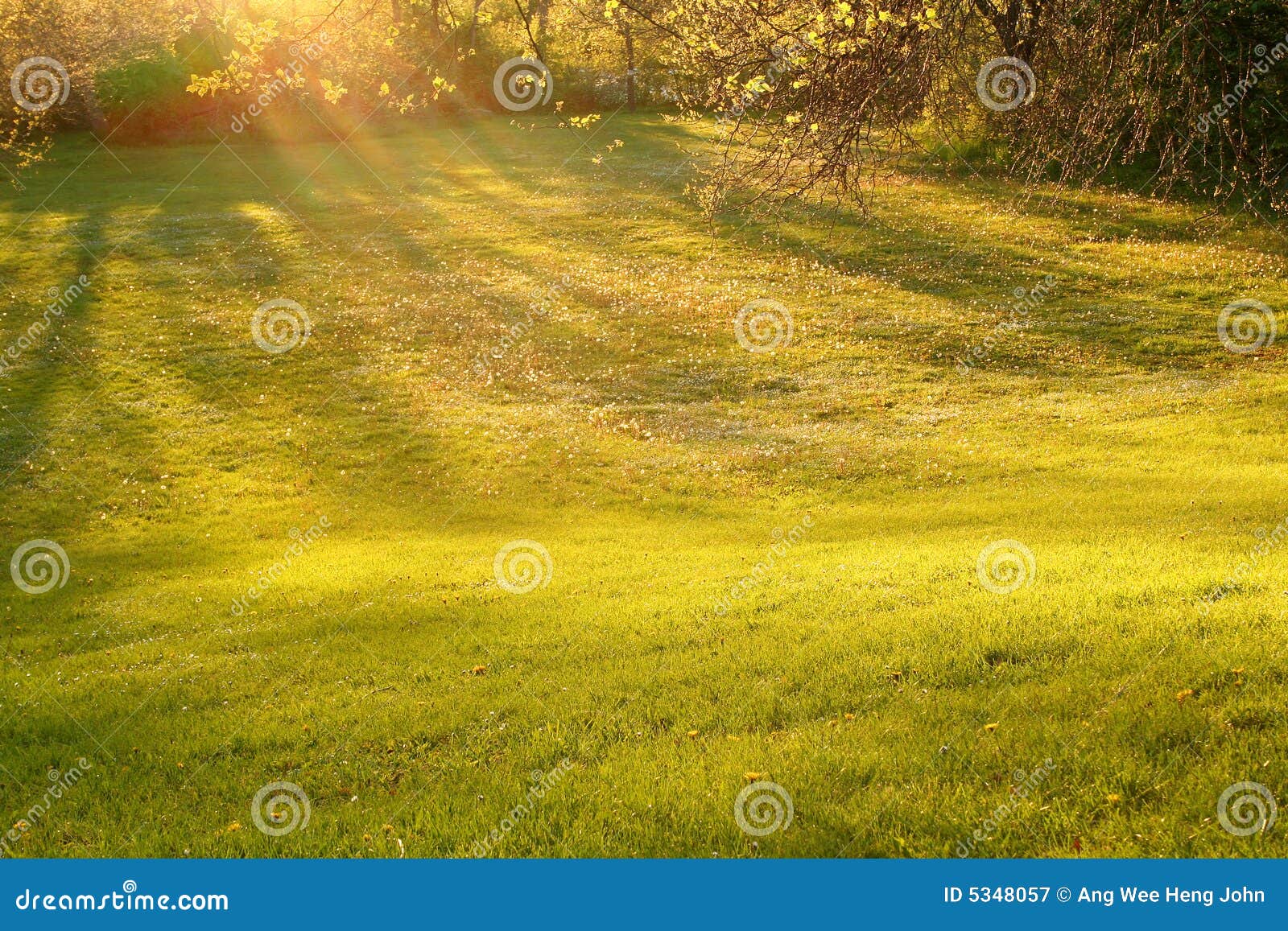 Rays of Sunlight Shining on To Grass Stock Image - Image of bring, rays ...