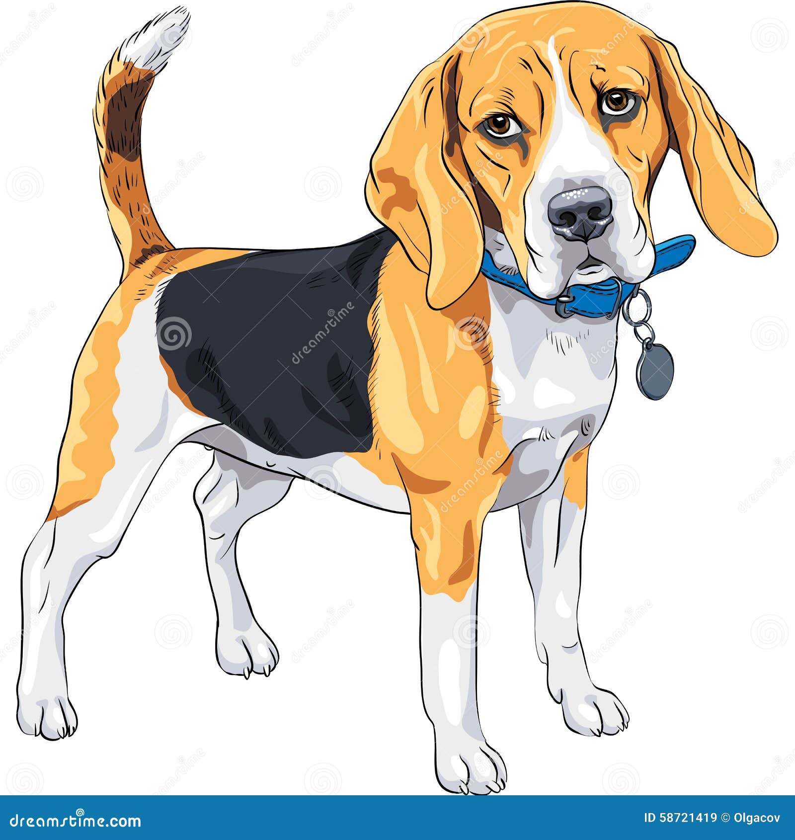 Raza Seria Del Beagle Del Perro Del Bosquejo Del Vector Ilustración del ...