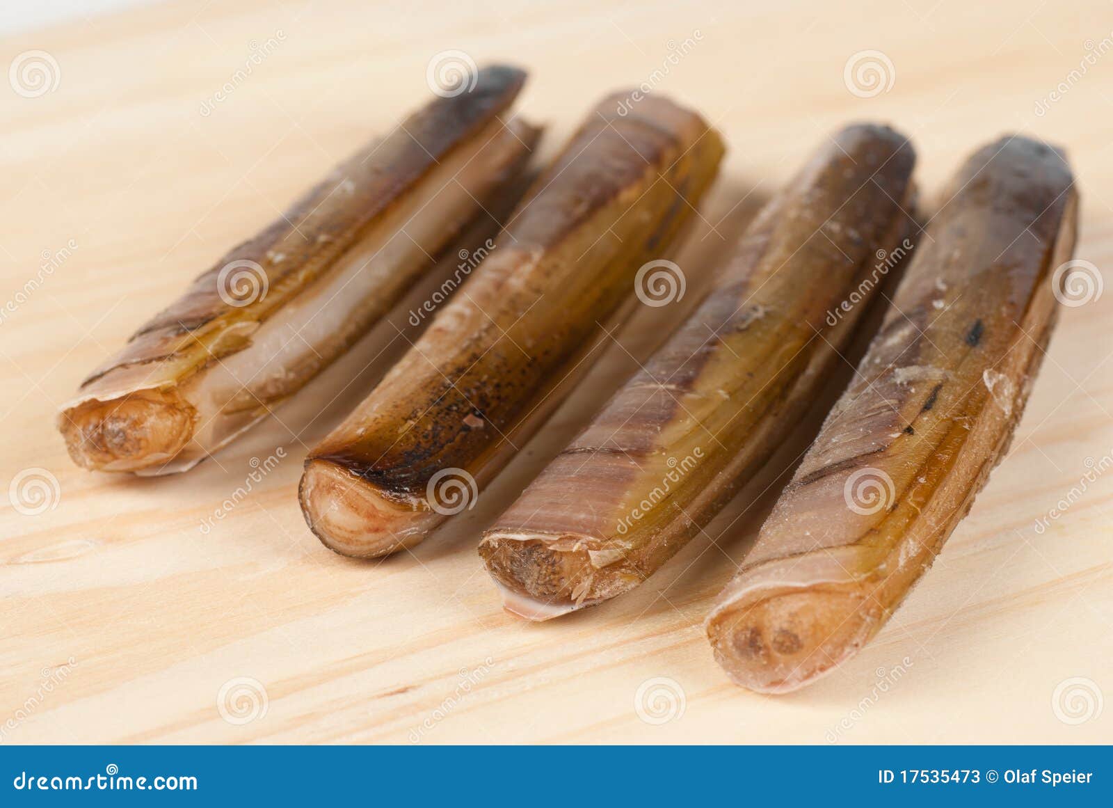 Razor clams stock image. Image of shelled, horizontal - 17535473