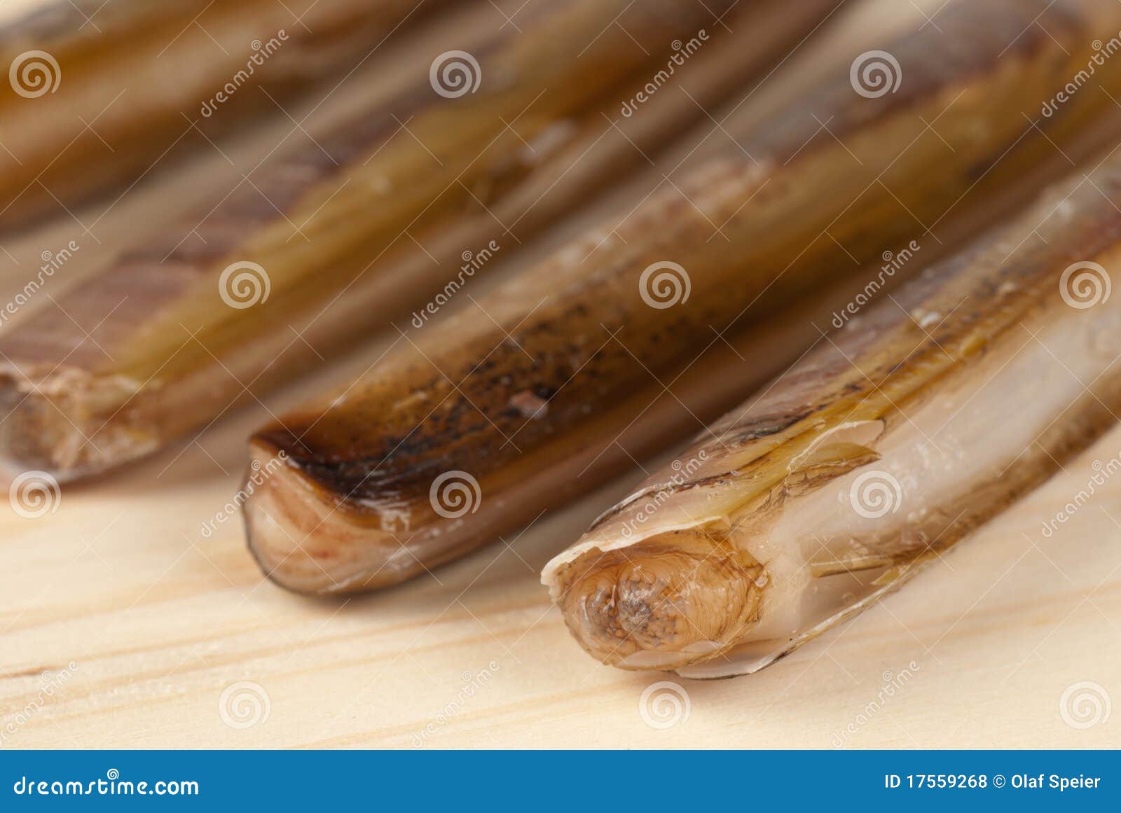 Razor clams stock photo. Image of shell, gourmet, wooden - 17559268