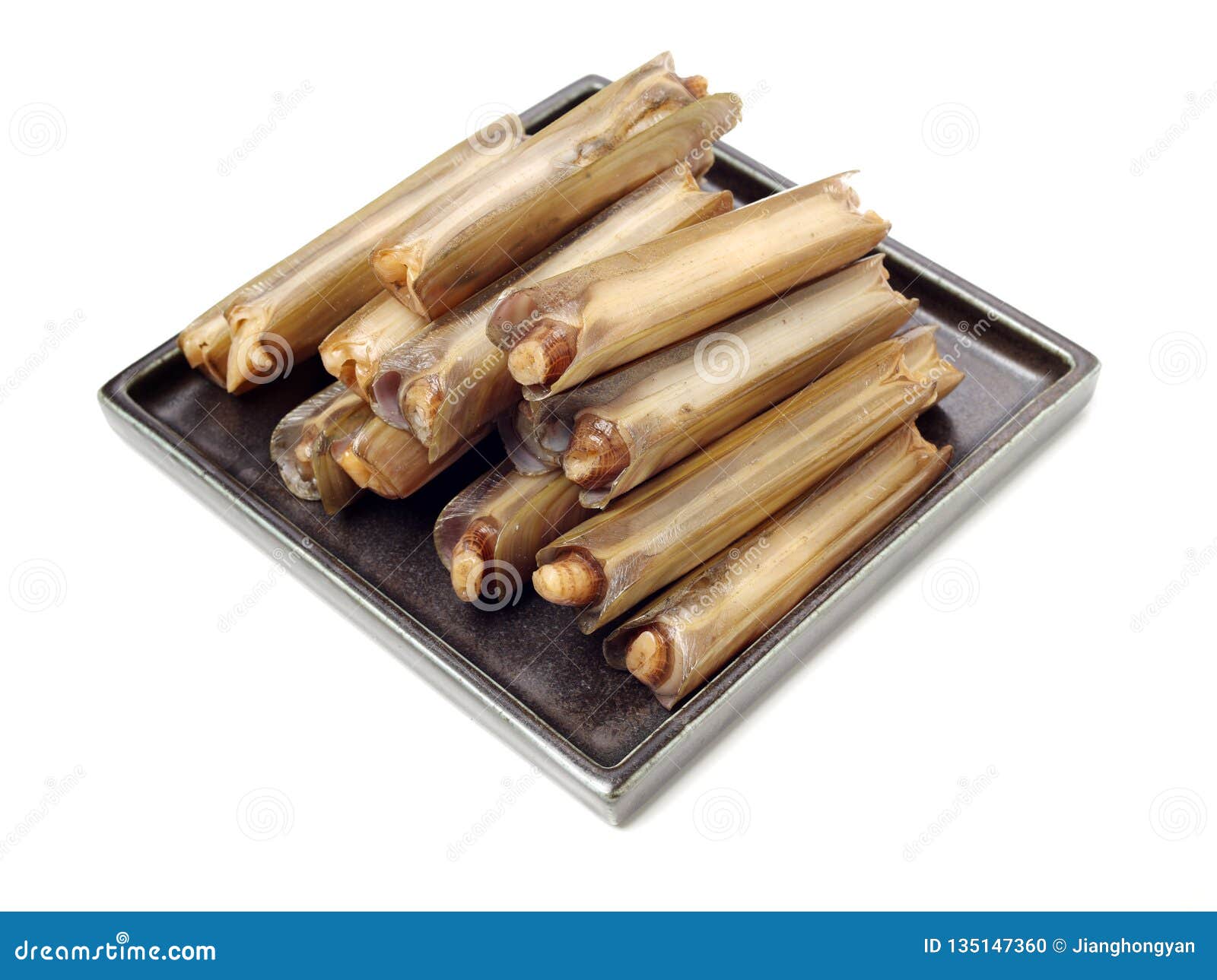 Razor fish stock photo. Image of animal, biodiversity - 135147360