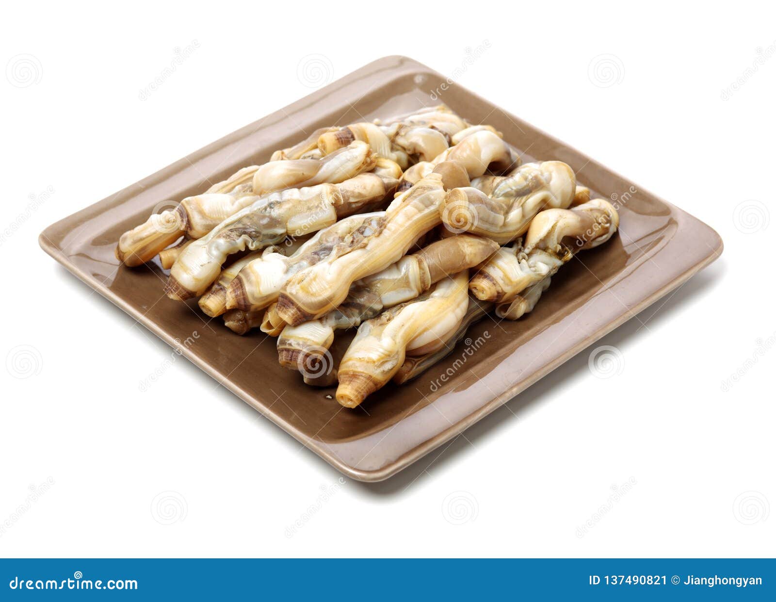 Razor Fish, Sea Shell Isolated On White Background. Shell, Seashell Or ...