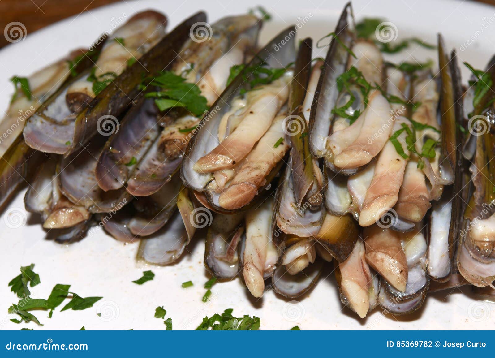 Razor shell stock photo. Image of shell, close, cooked - 85369782