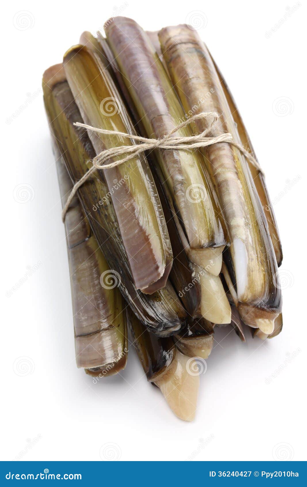 Razor Shell (Ensis Arcuatus) Royalty-Free Stock Image | CartoonDealer ...