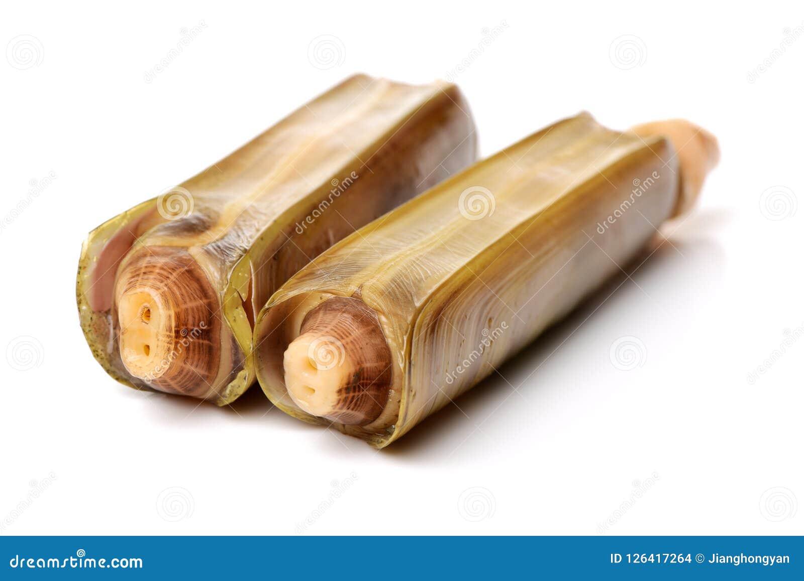 Razor Shell Seafood Royalty-Free Stock Image | CartoonDealer.com #11359864