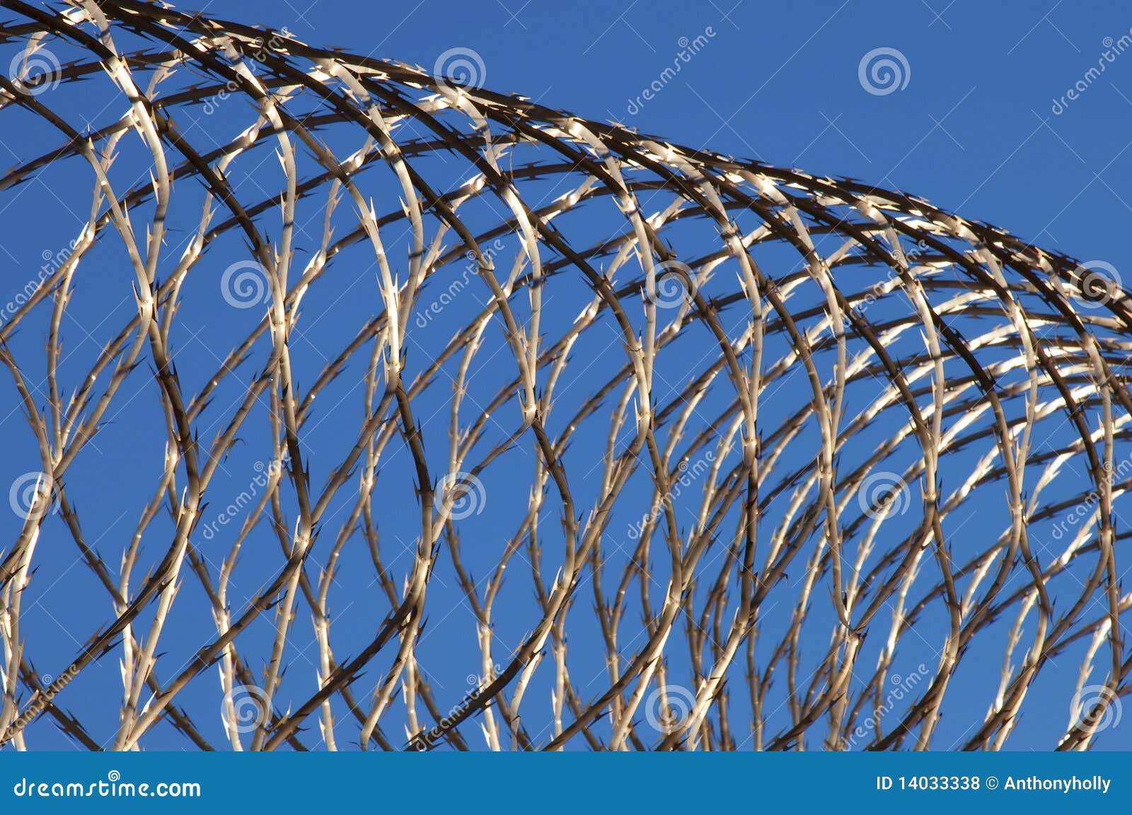 Razor wire stock photo. Image of fence, barrier, boundary - 14033338
