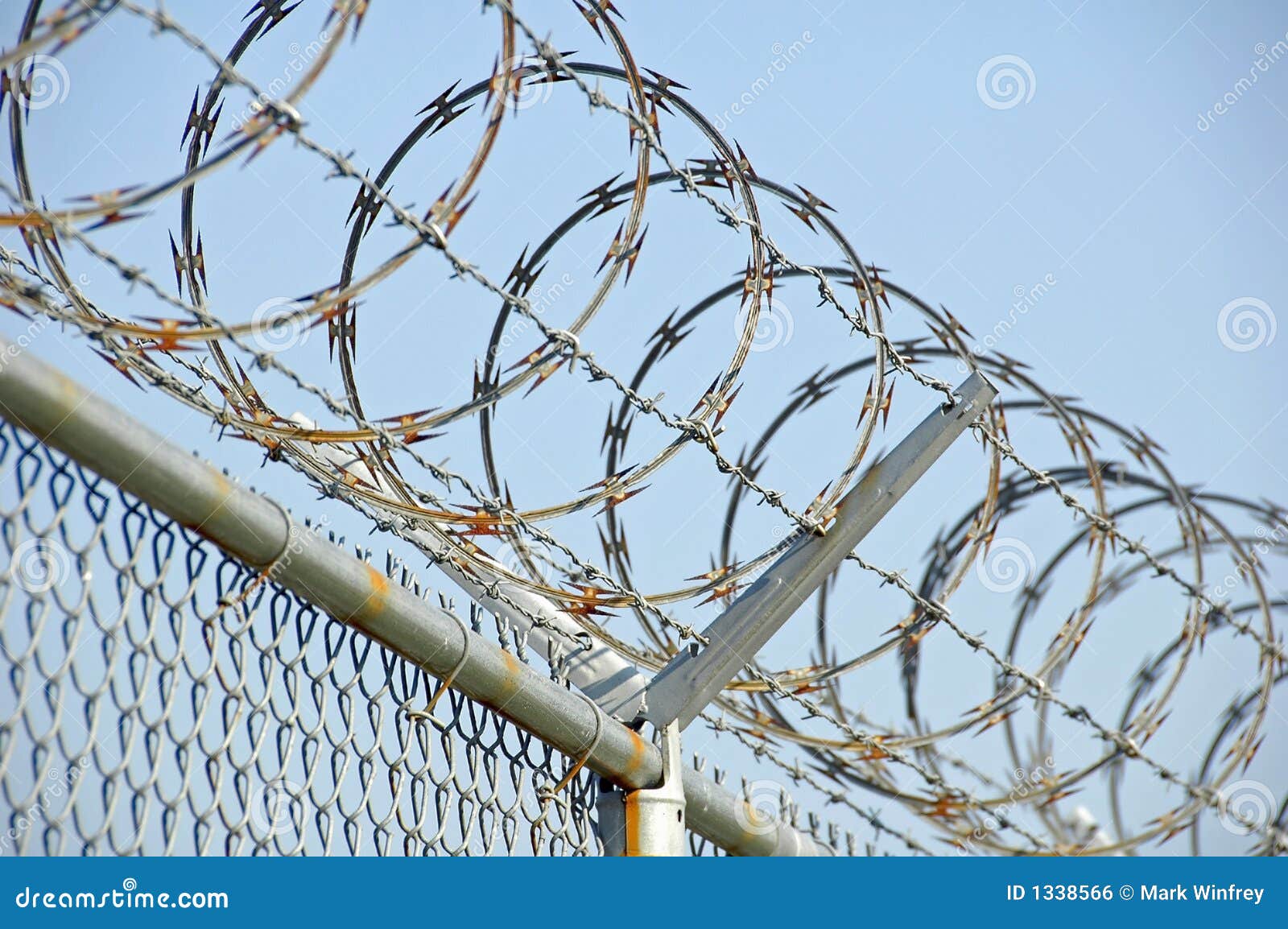 Razor Wire 2 stock photo. Image of barrier, secure, securement - 1338566