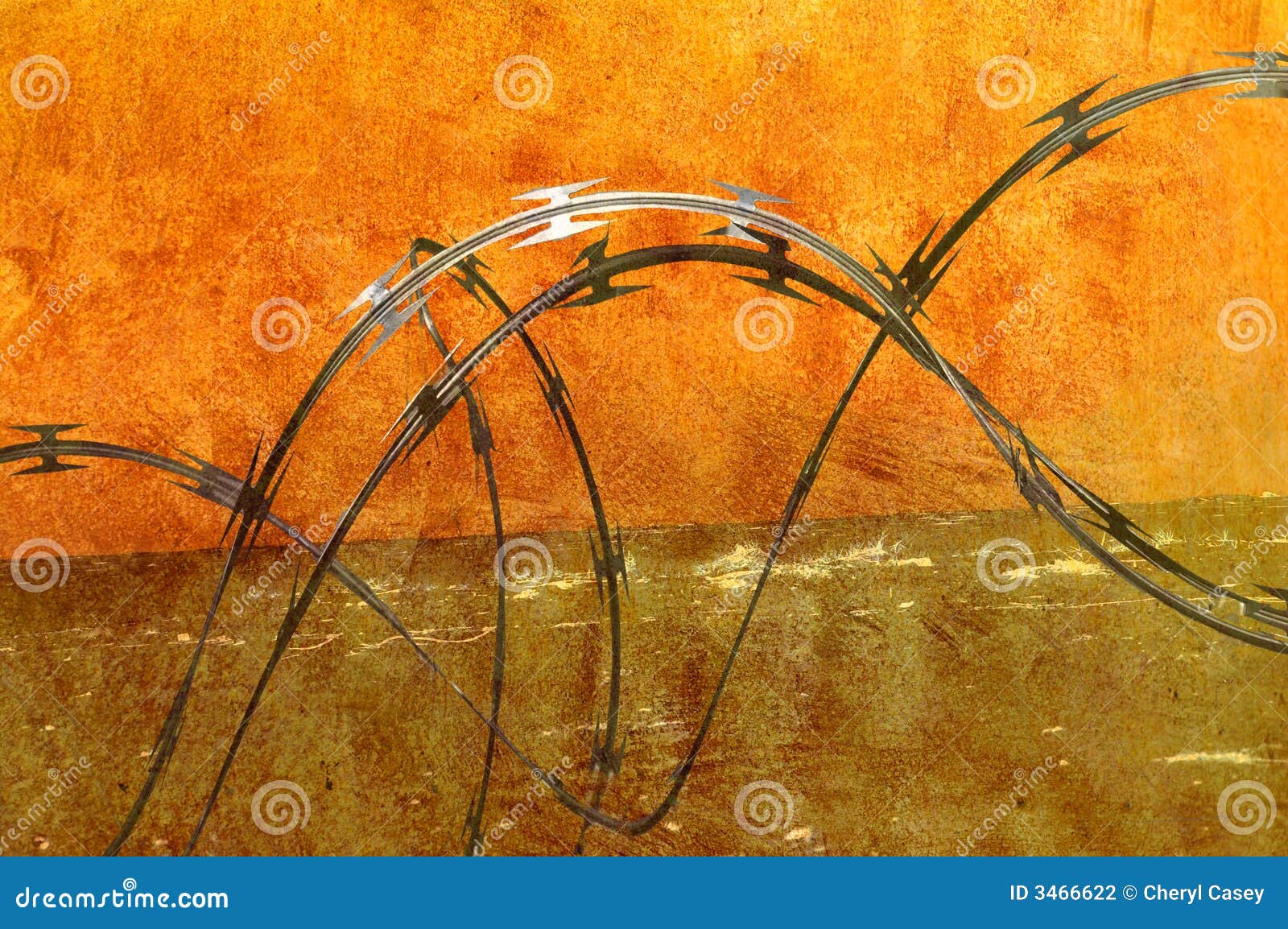 Razor Wire stock photo. Image of danger, sharp, point - 3466622
