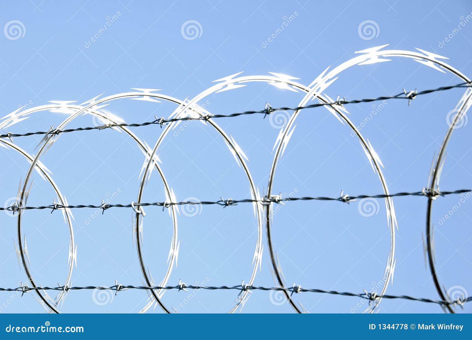 Razor Wire 4 stock photo. Image of protect, prison, jail - 1344778