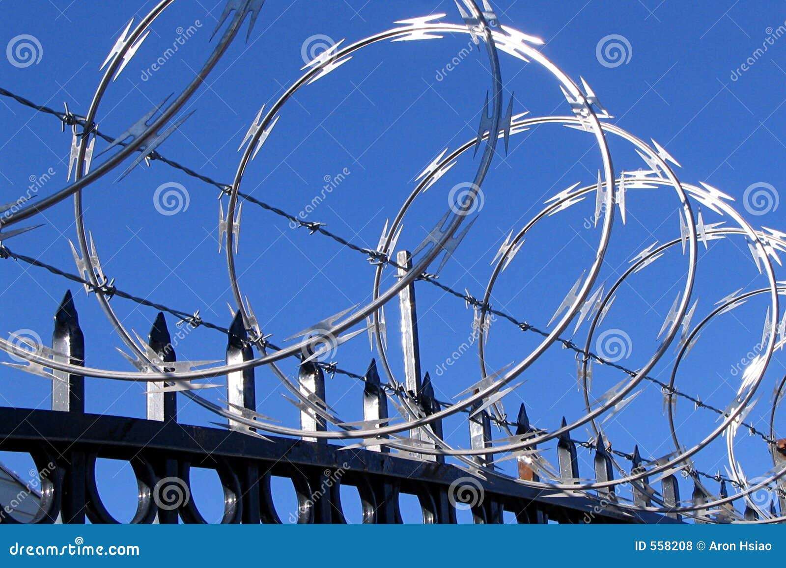 Razor wire and barbed wire stock photo. Image of permieter - 558208